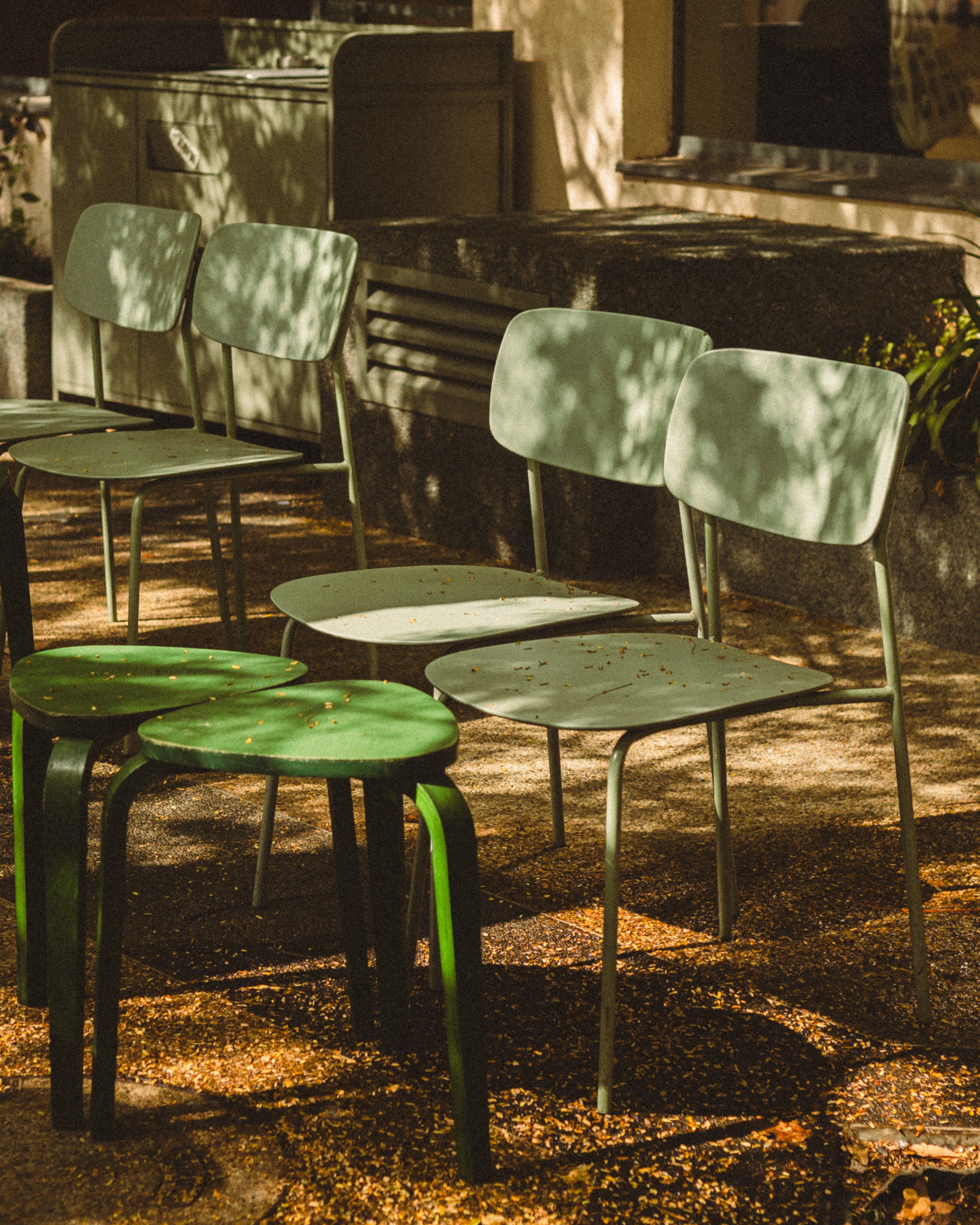 Row of Cafe Chairs Standing under a Tree Shade · Free Stock Photo