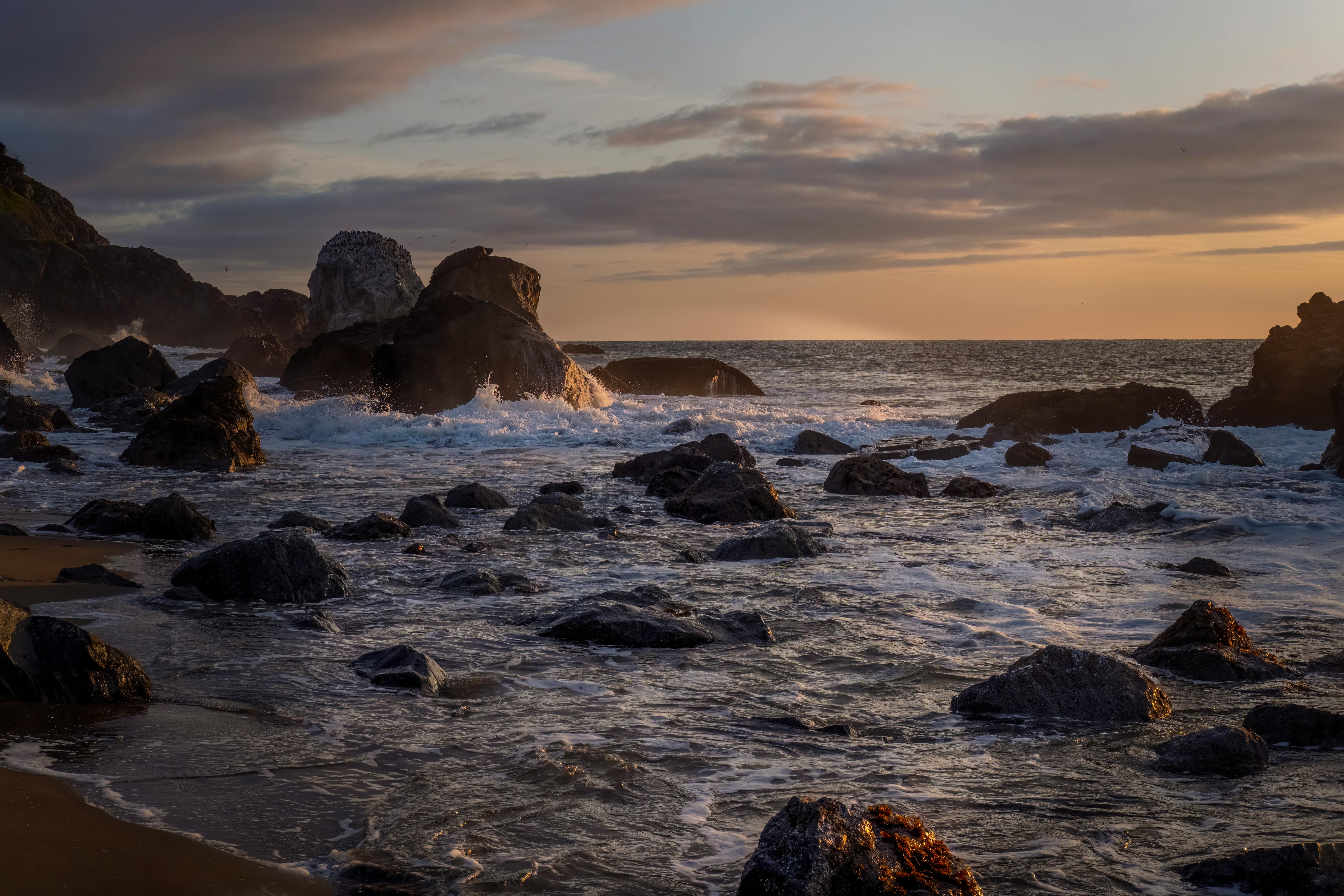 Rocks on Beach at Sunset · Free Stock Photo