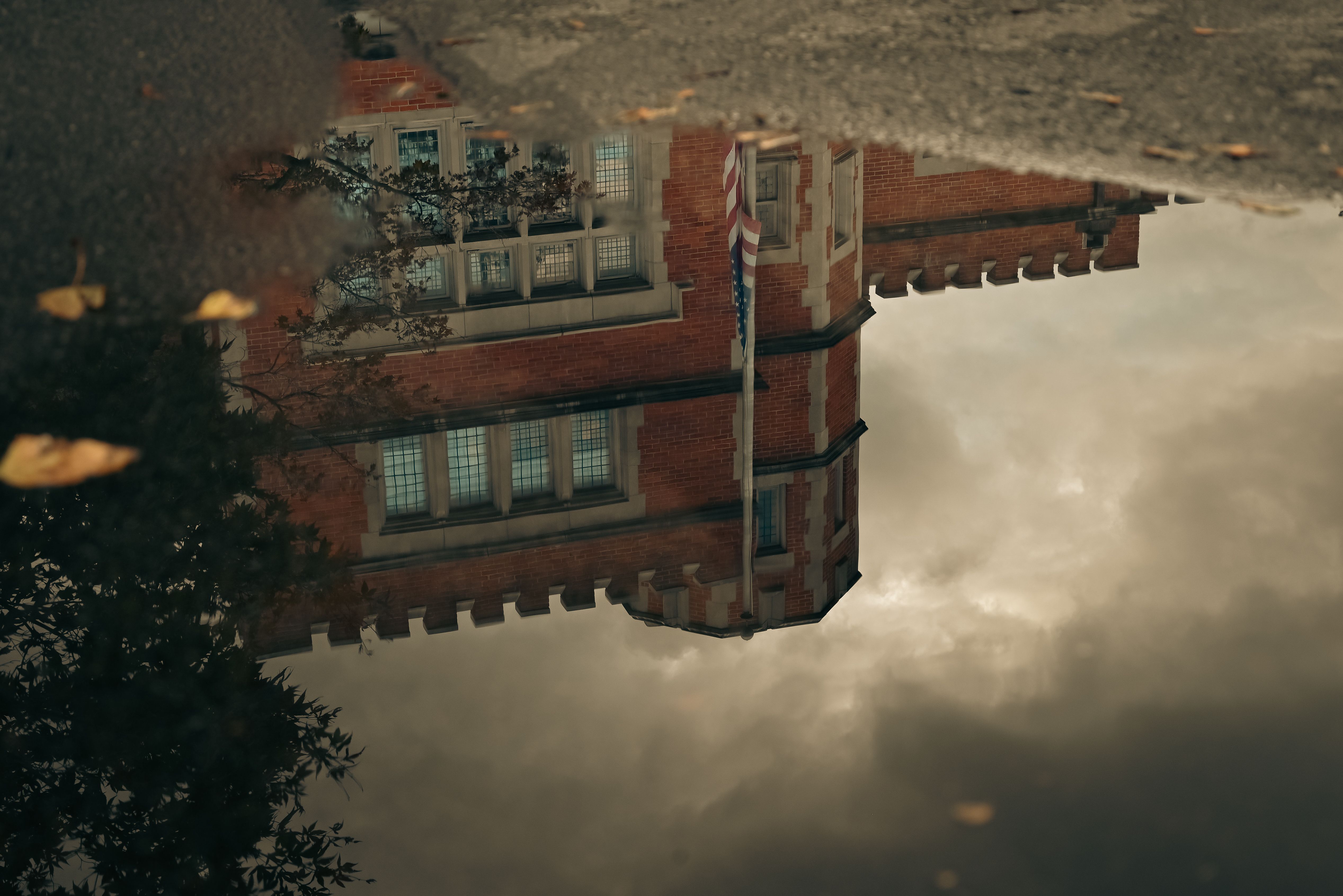 Reflection of Building and Flag in Puddle · Free Stock Photo