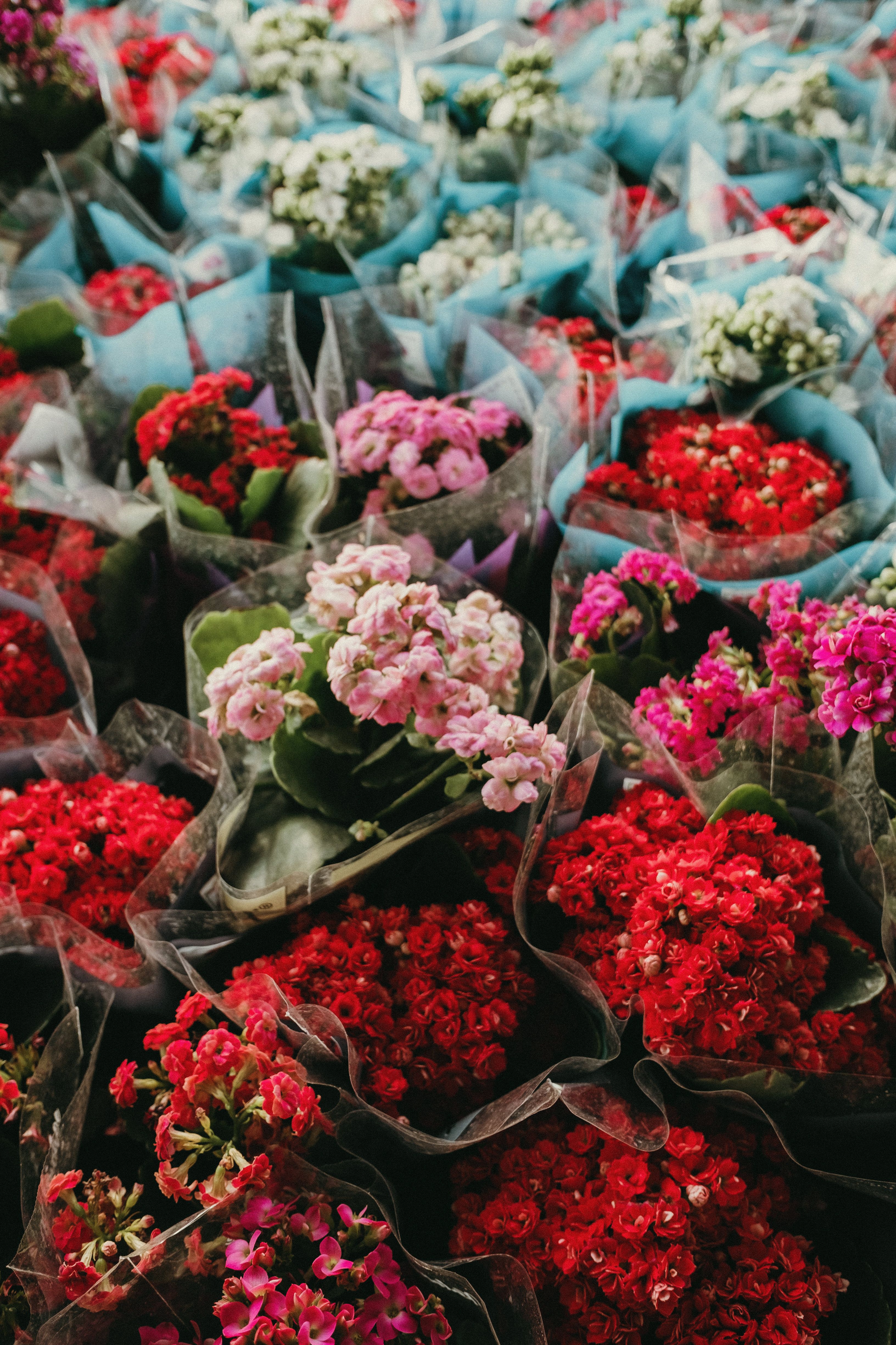 Wrapped Bouquets of Flowers · Free Stock Photo