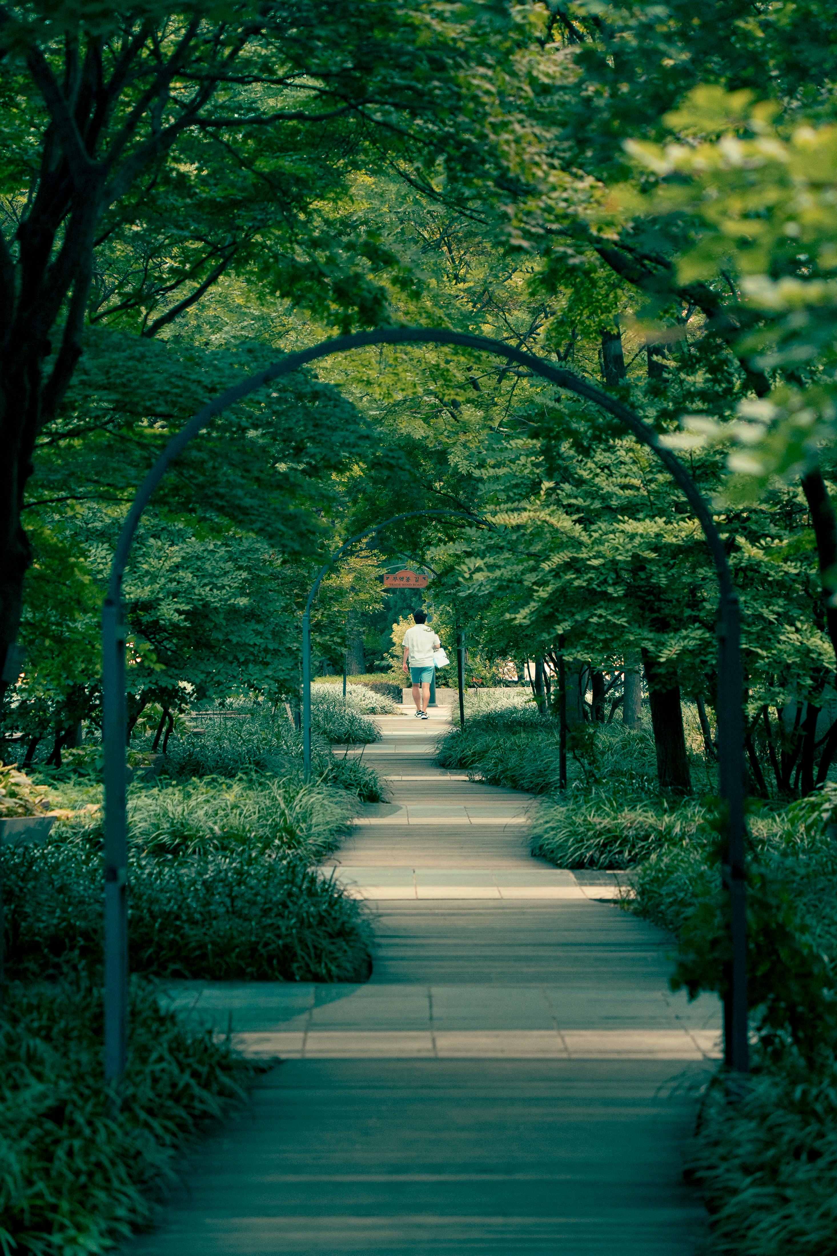 Footpath in a Green Garden · Free Stock Photo