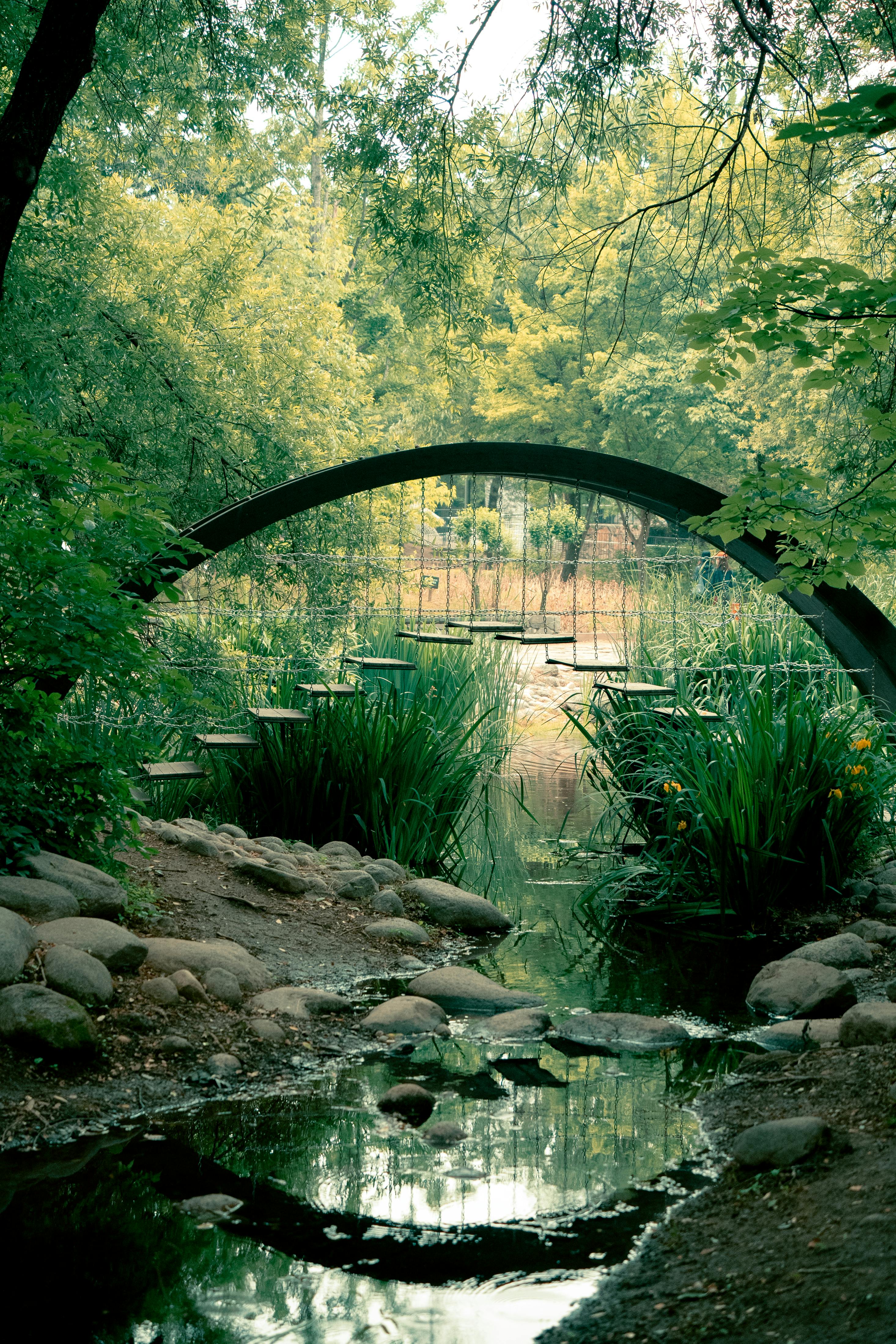 Green Garden with an Arch over a Pond · Free Stock Photo