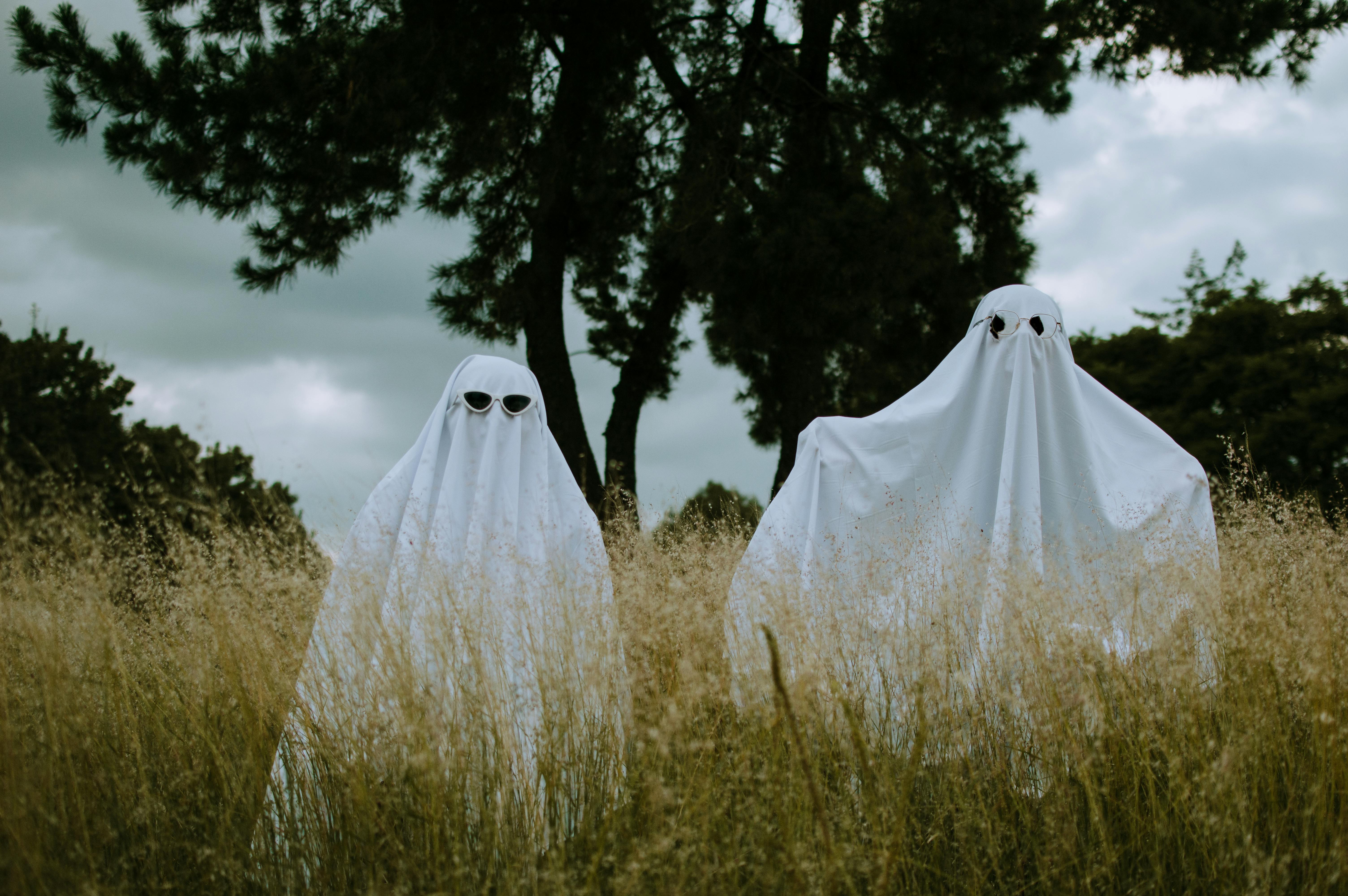 People Disguised as Ghoasts, Standing in a Grass Field · Free Stock Photo