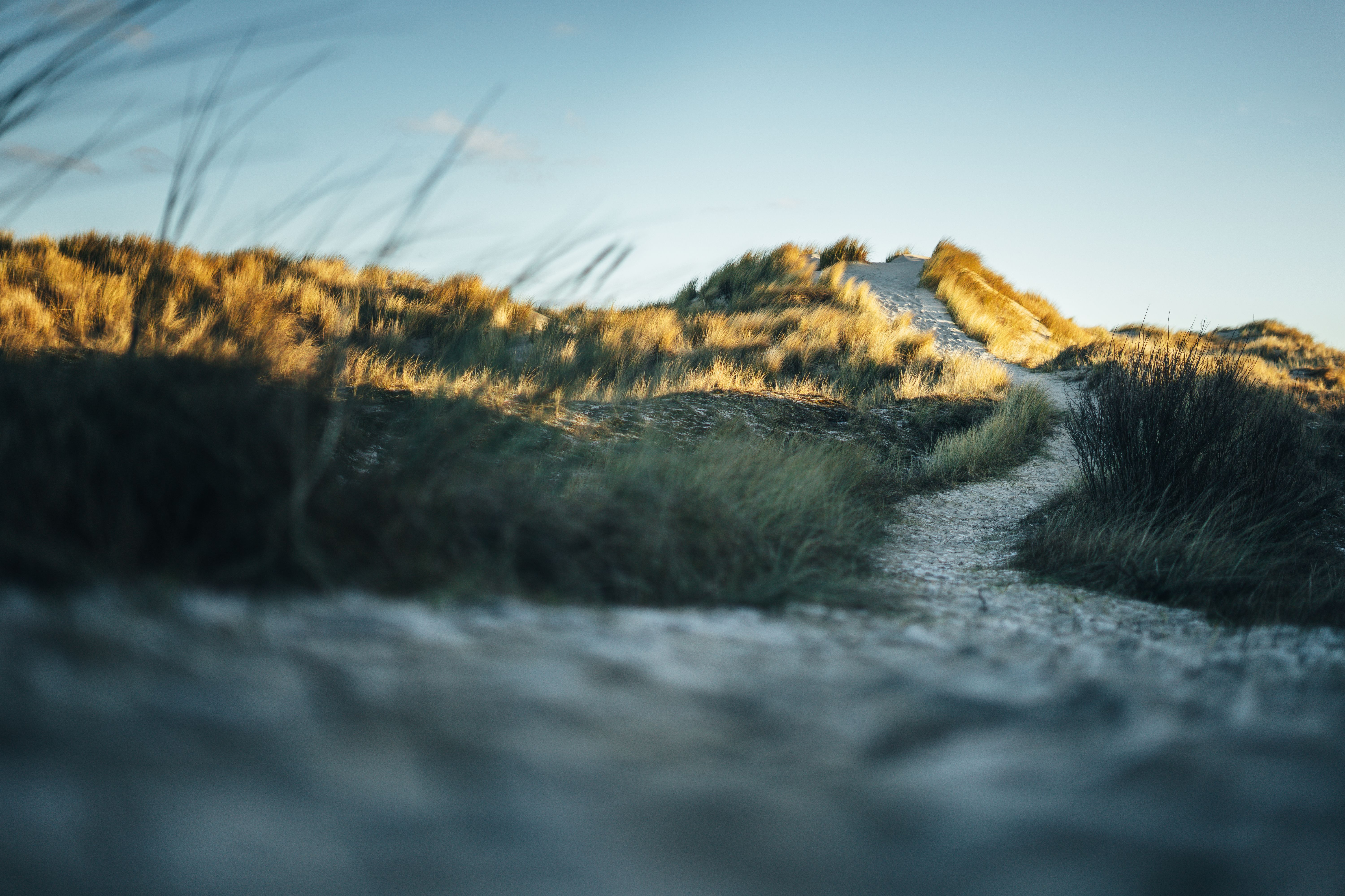 Gravel Path on Mountain Ridge · Free Stock Photo