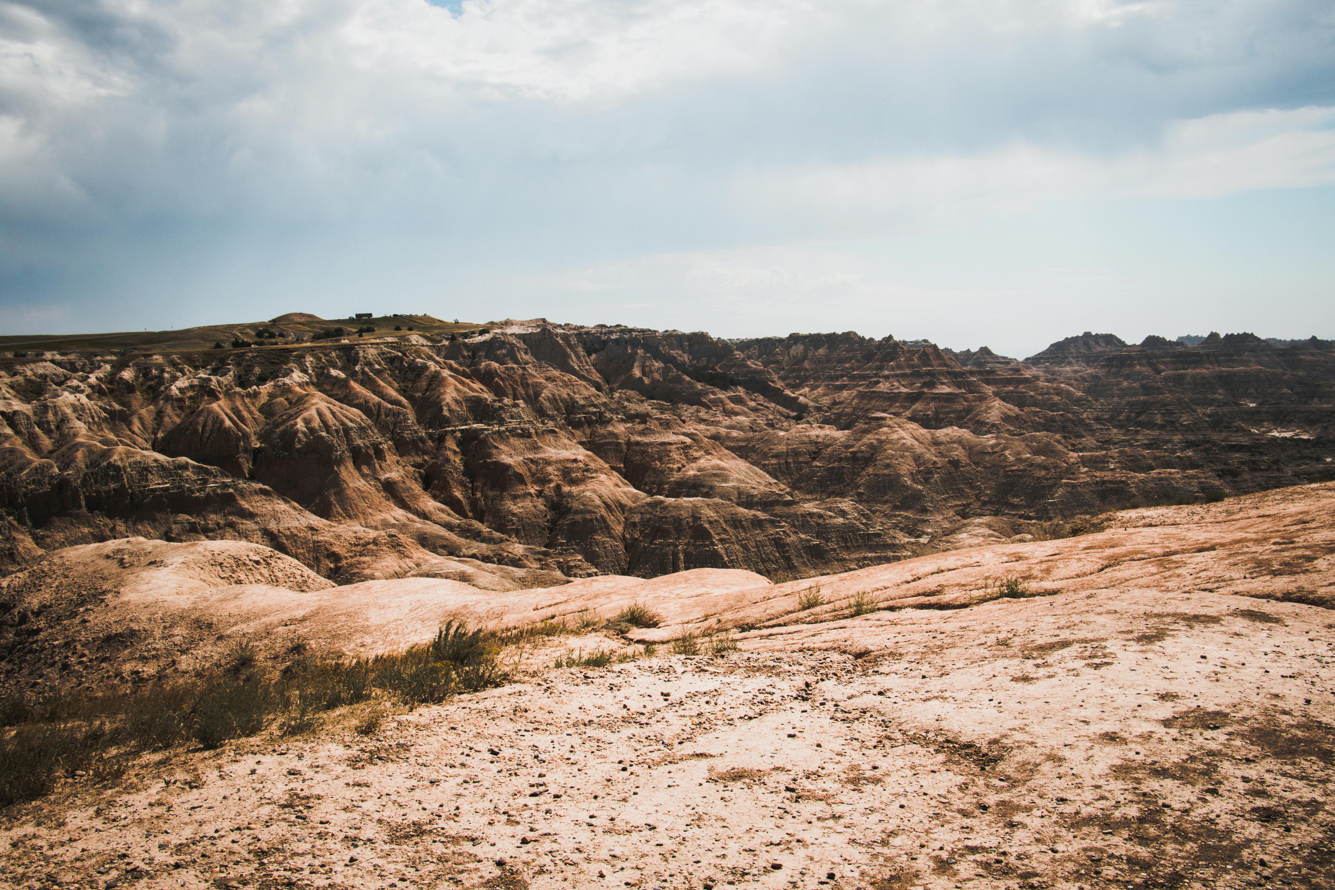 Inductees Dry Photos, Download The BEST Free Inductees Dry Stock Photos ...