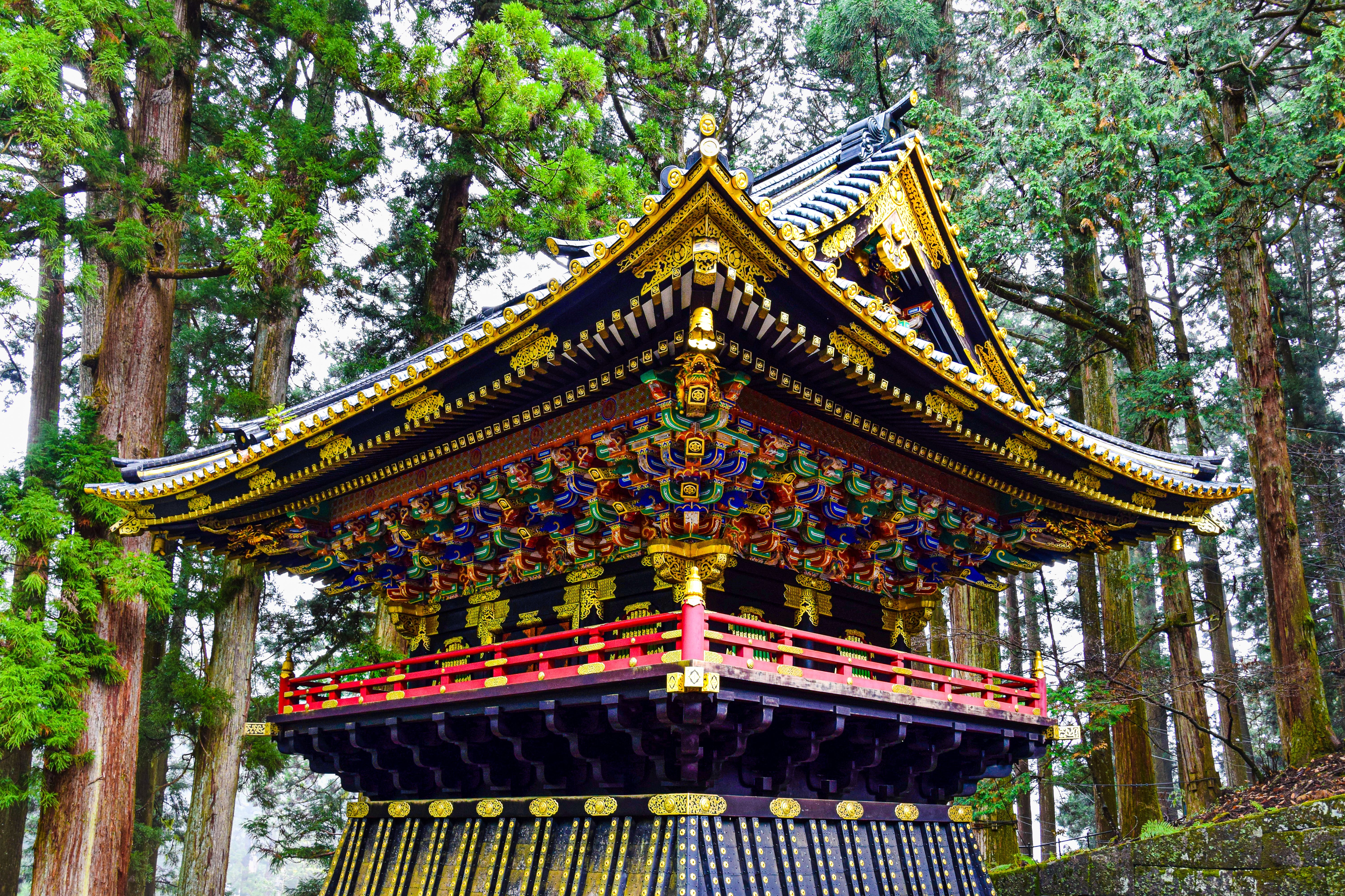 Taiyu In Photos, Download The BEST Free Taiyu In Stock Photos & HD Images