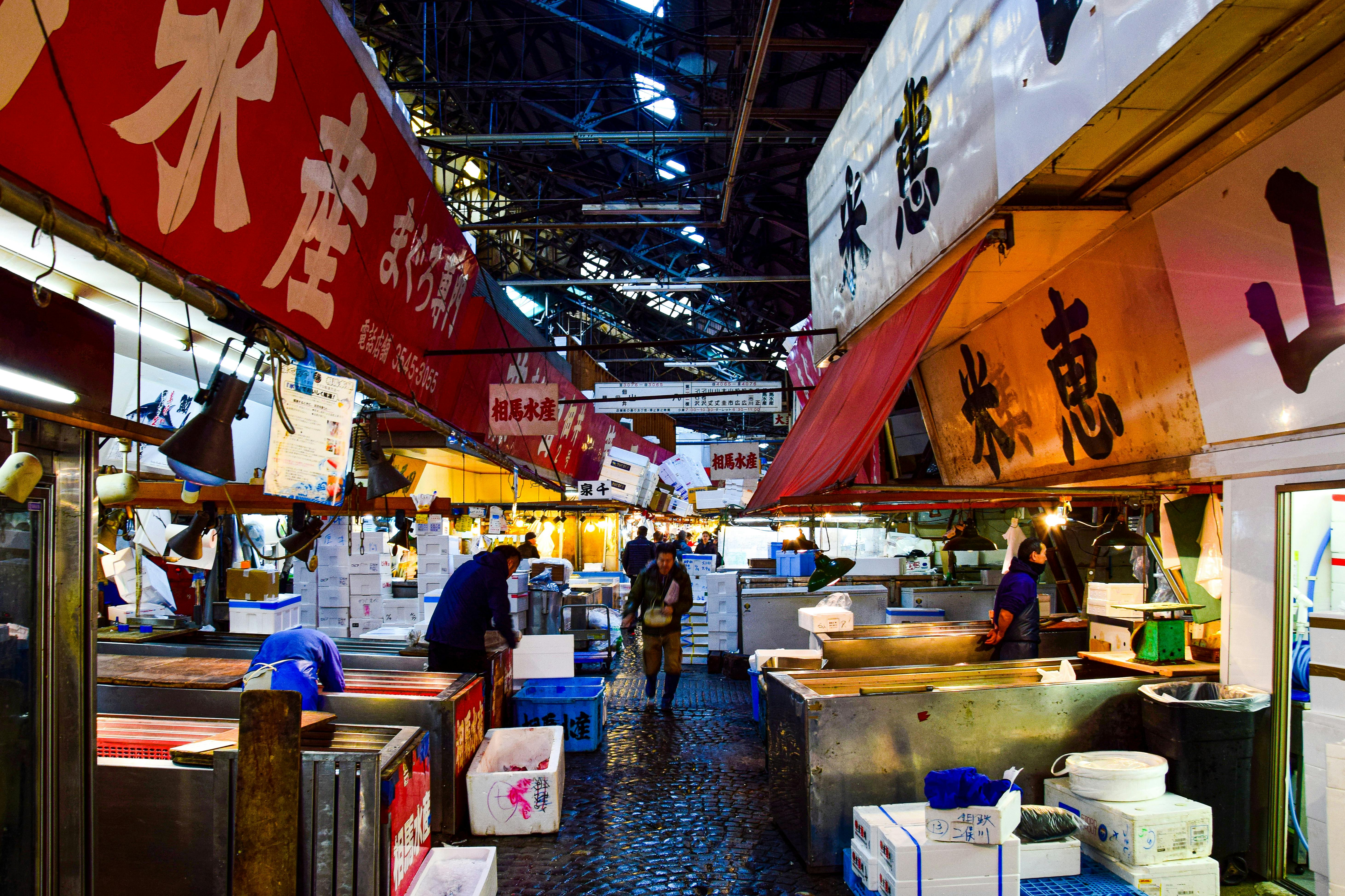People at Tsukiji Market at Night, Tokyo, Japan · Free Stock Photo