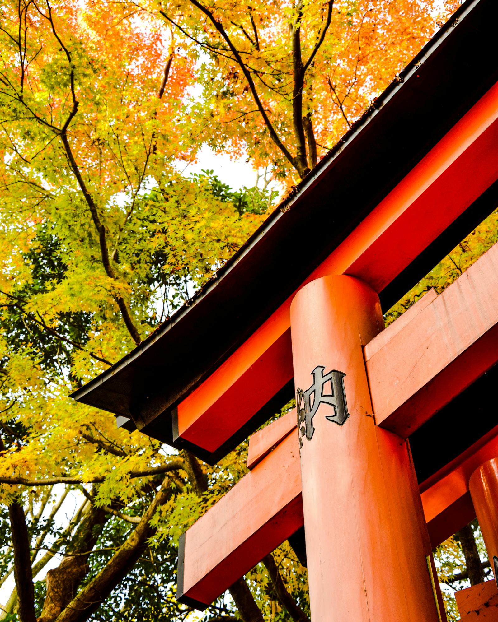 Torii Gate Photos, Download The BEST Free Torii Gate Stock Photos & HD ...