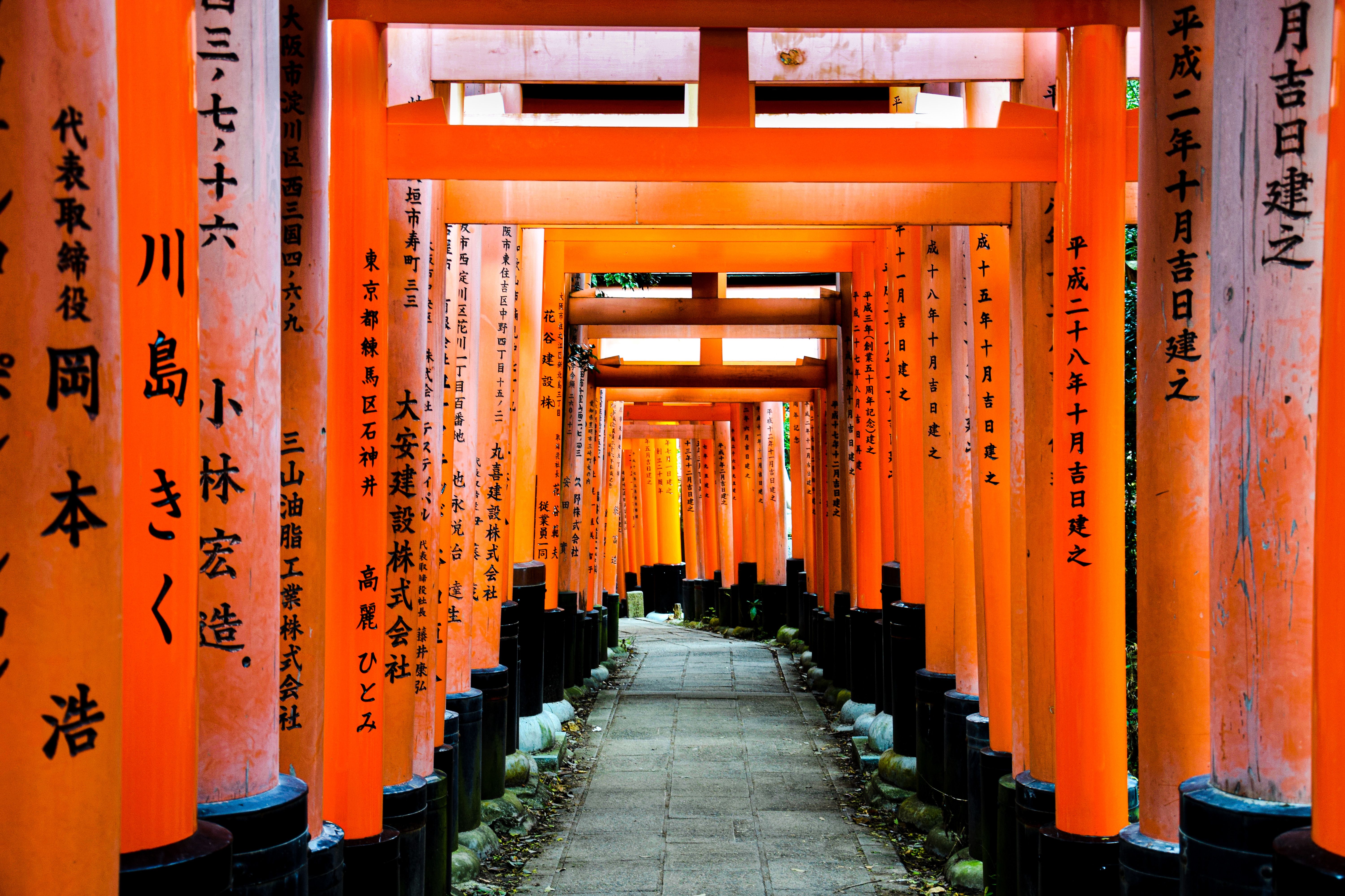 A long walkway with orange tori gates · Free Stock Photo
