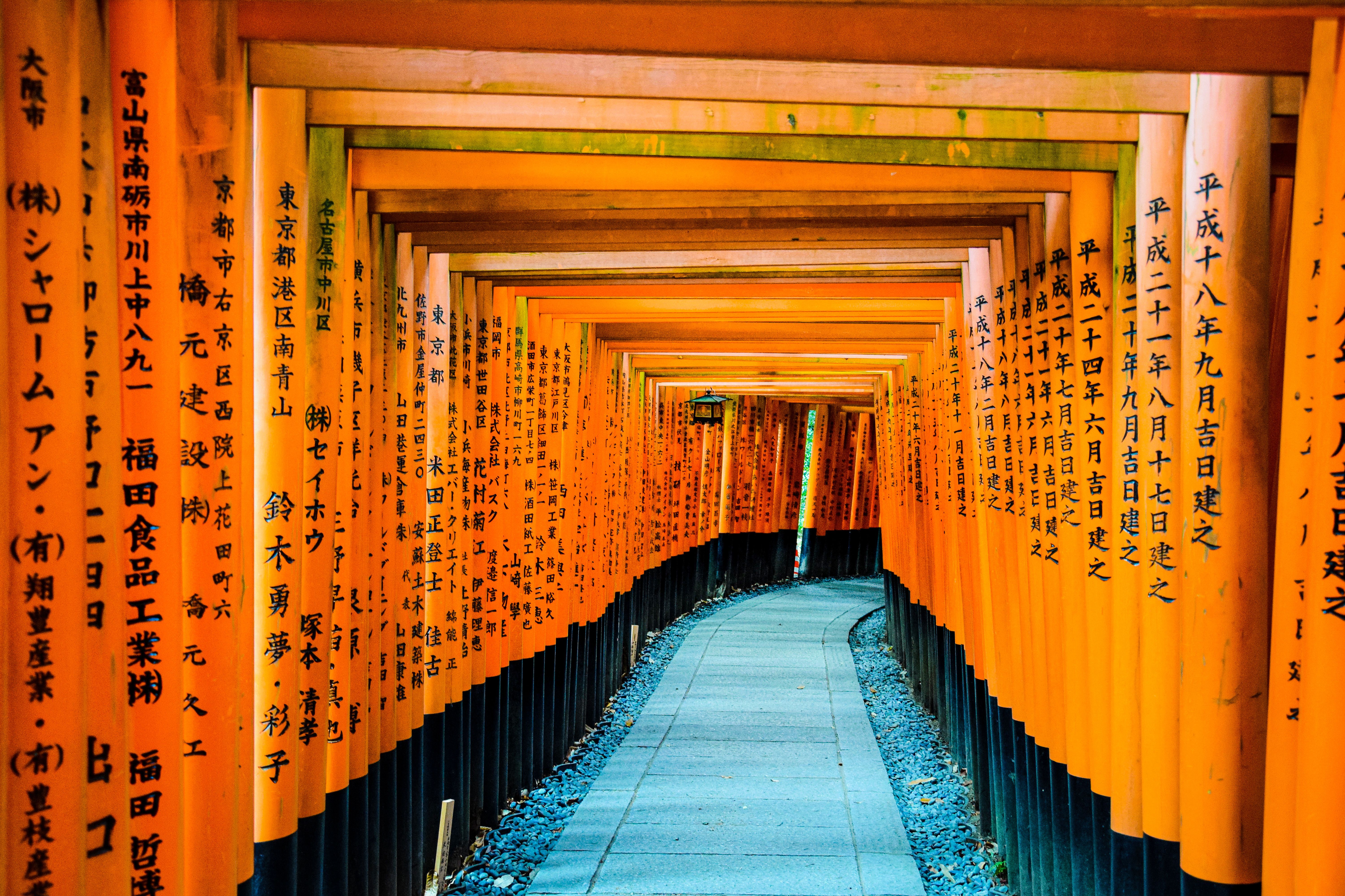Silhouette of Traditional Temple in Japan · Free Stock Photo