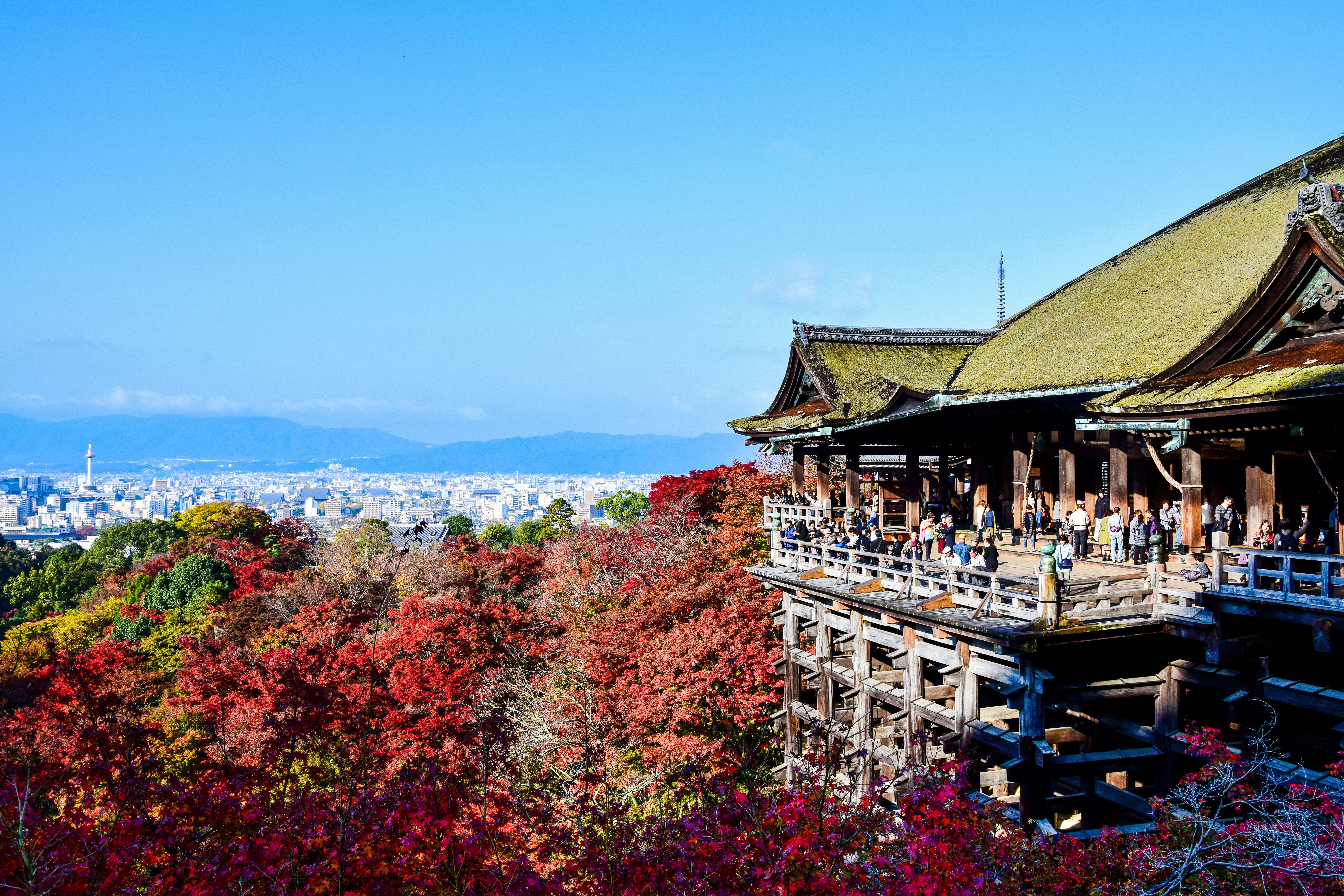 Asian Temple Among Trees in Kyoto · Free Stock Photo
