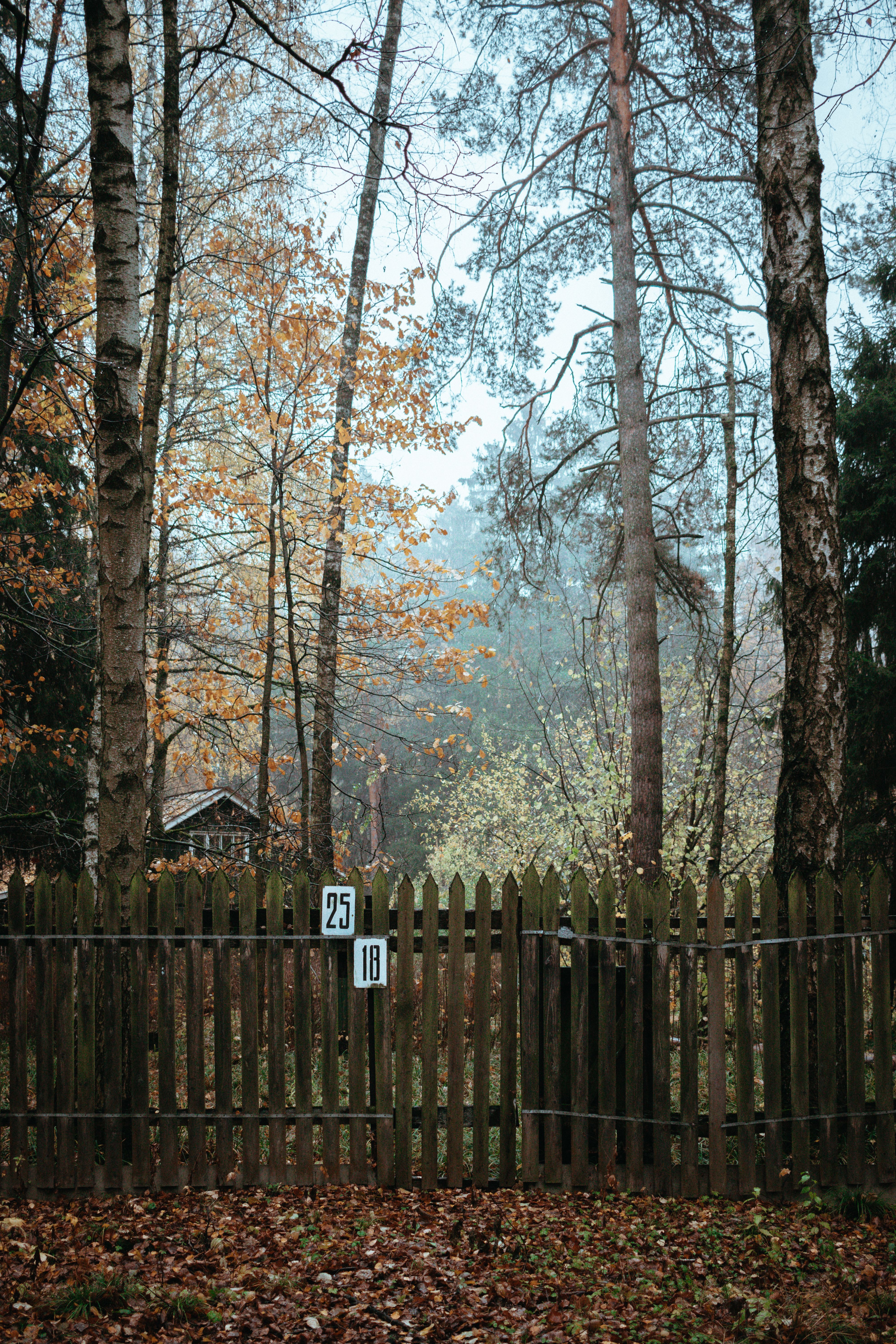 Wooden Gate in Forest · Free Stock Photo