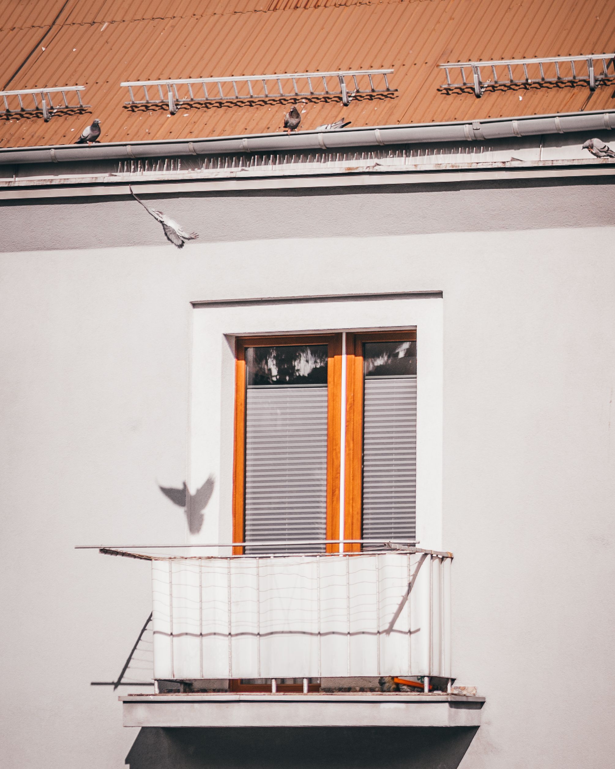 Residential Building Facades Photos, Download The BEST Free Residential ...