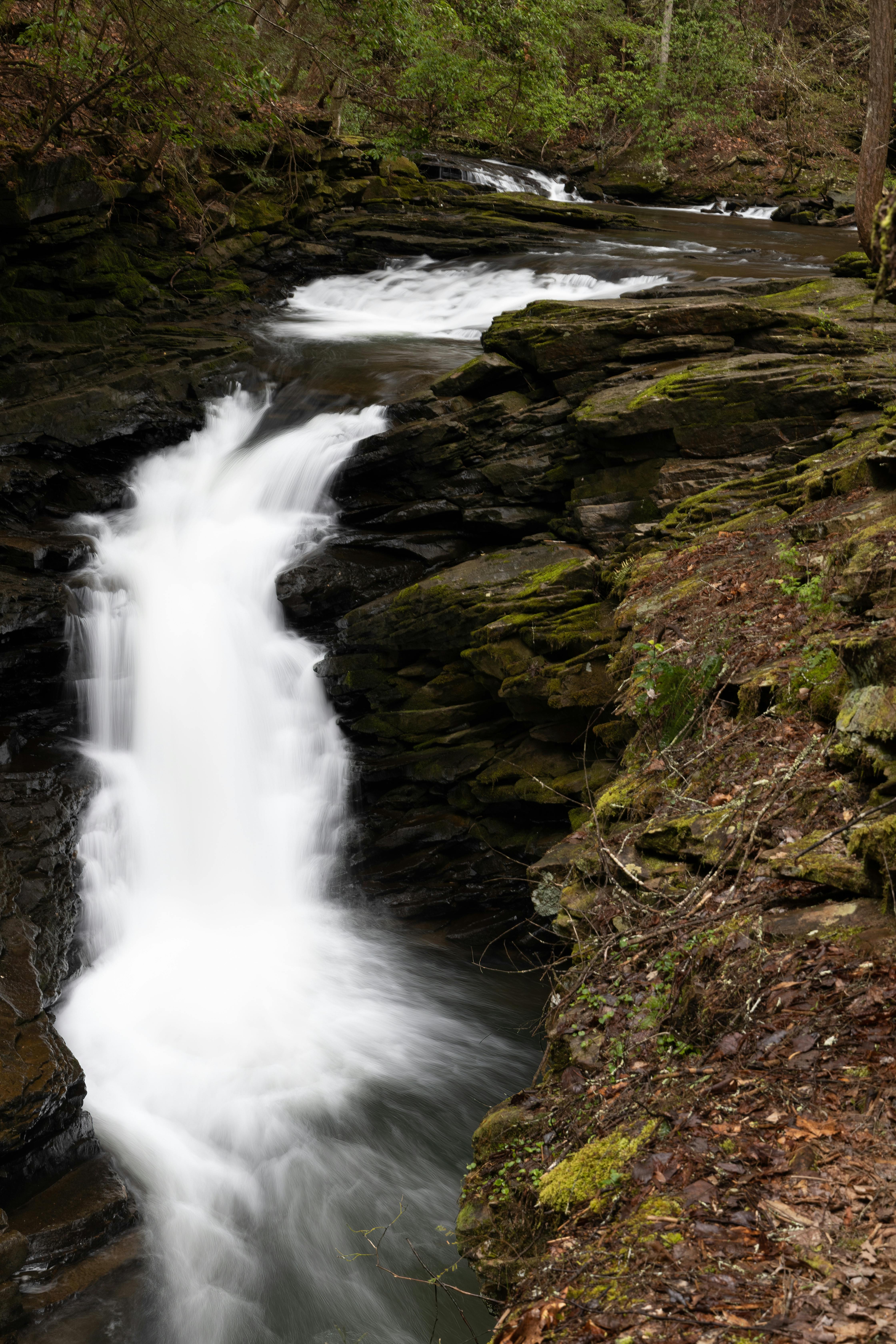 Waterfall on Rocks on Stream · Free Stock Photo