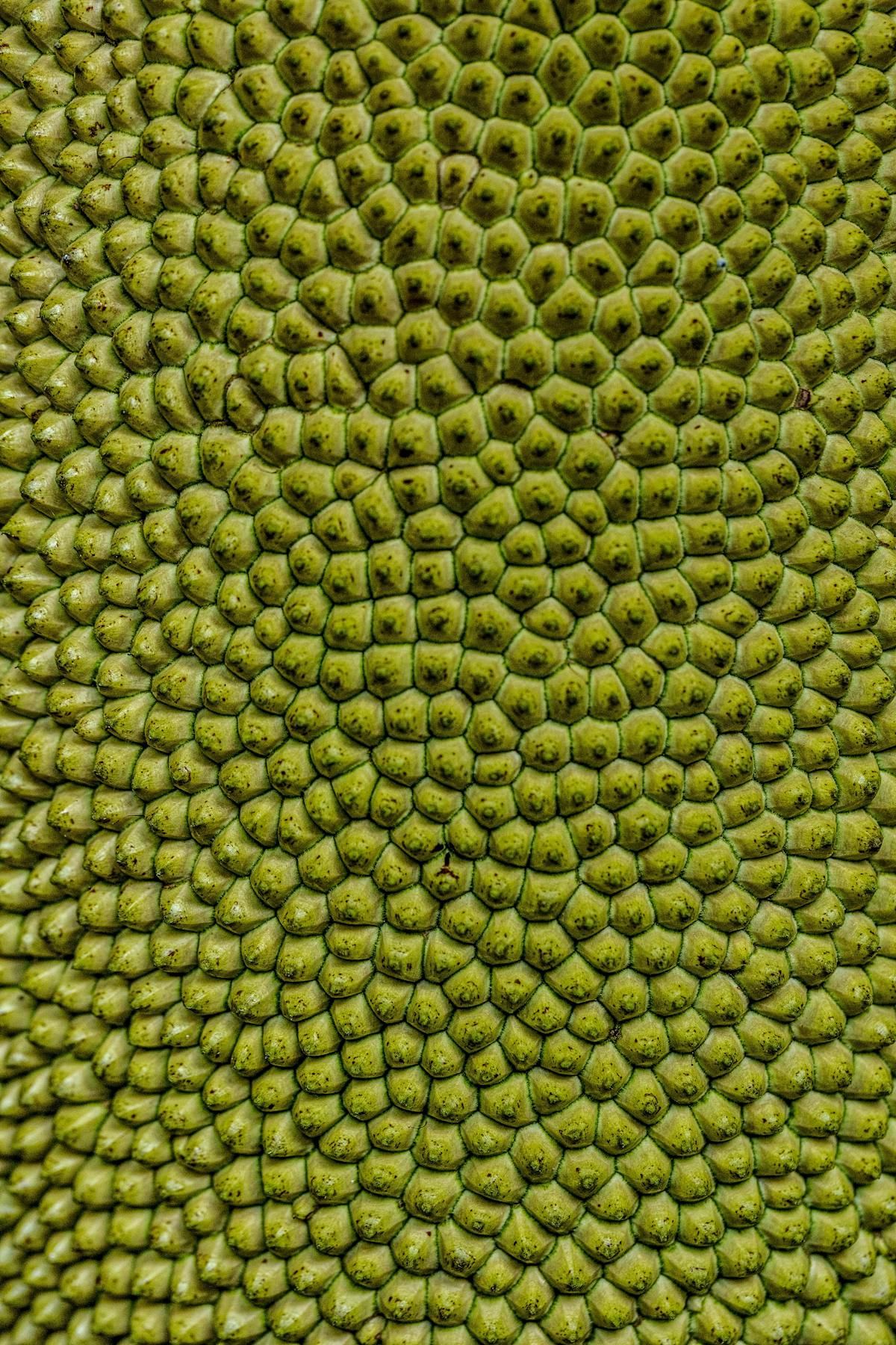 Say Texture Photos, Download The BEST Free Say Texture Stock Photos ...