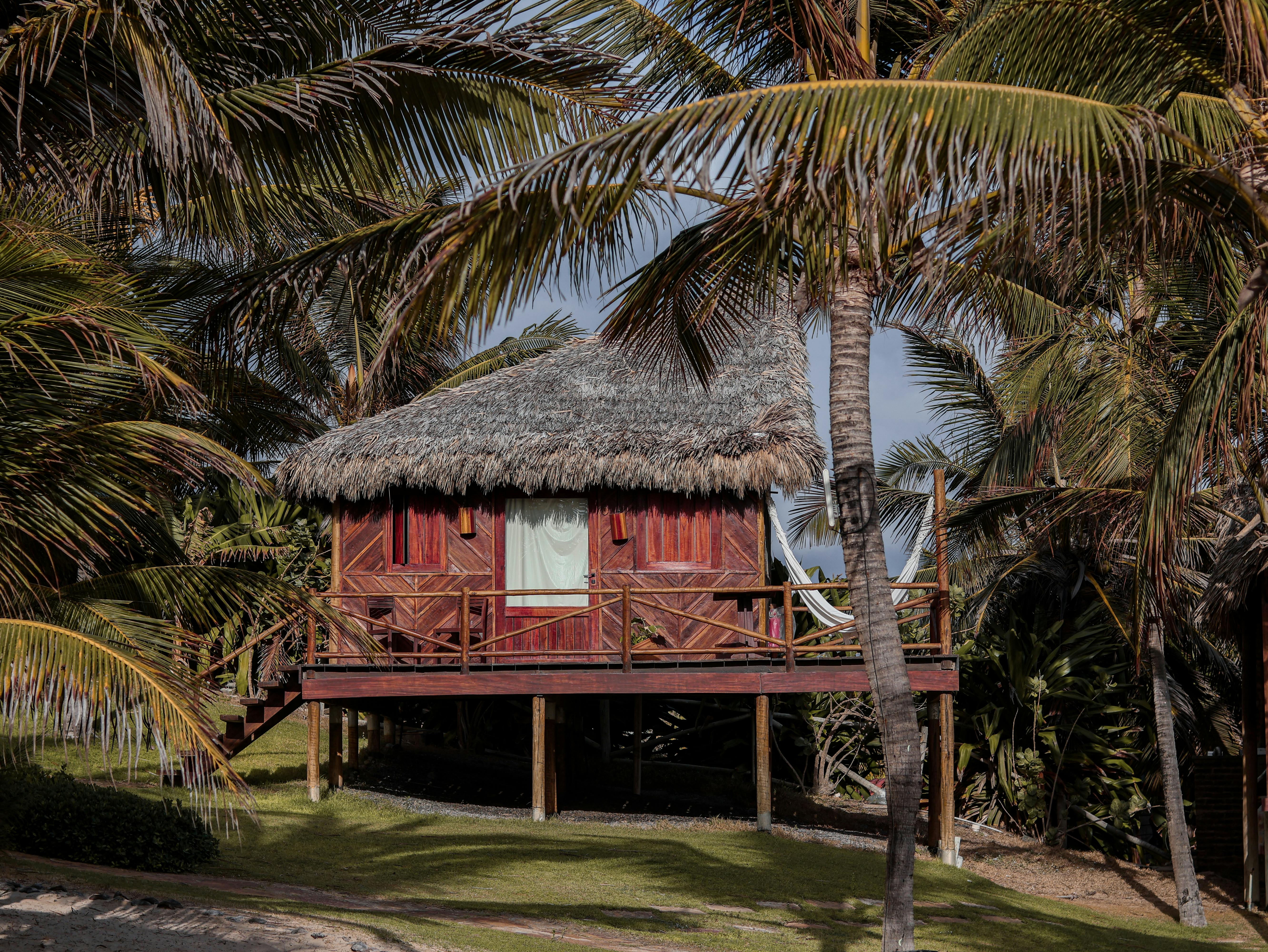 Wooden Tropical Cottage on Stands · Free Stock Photo