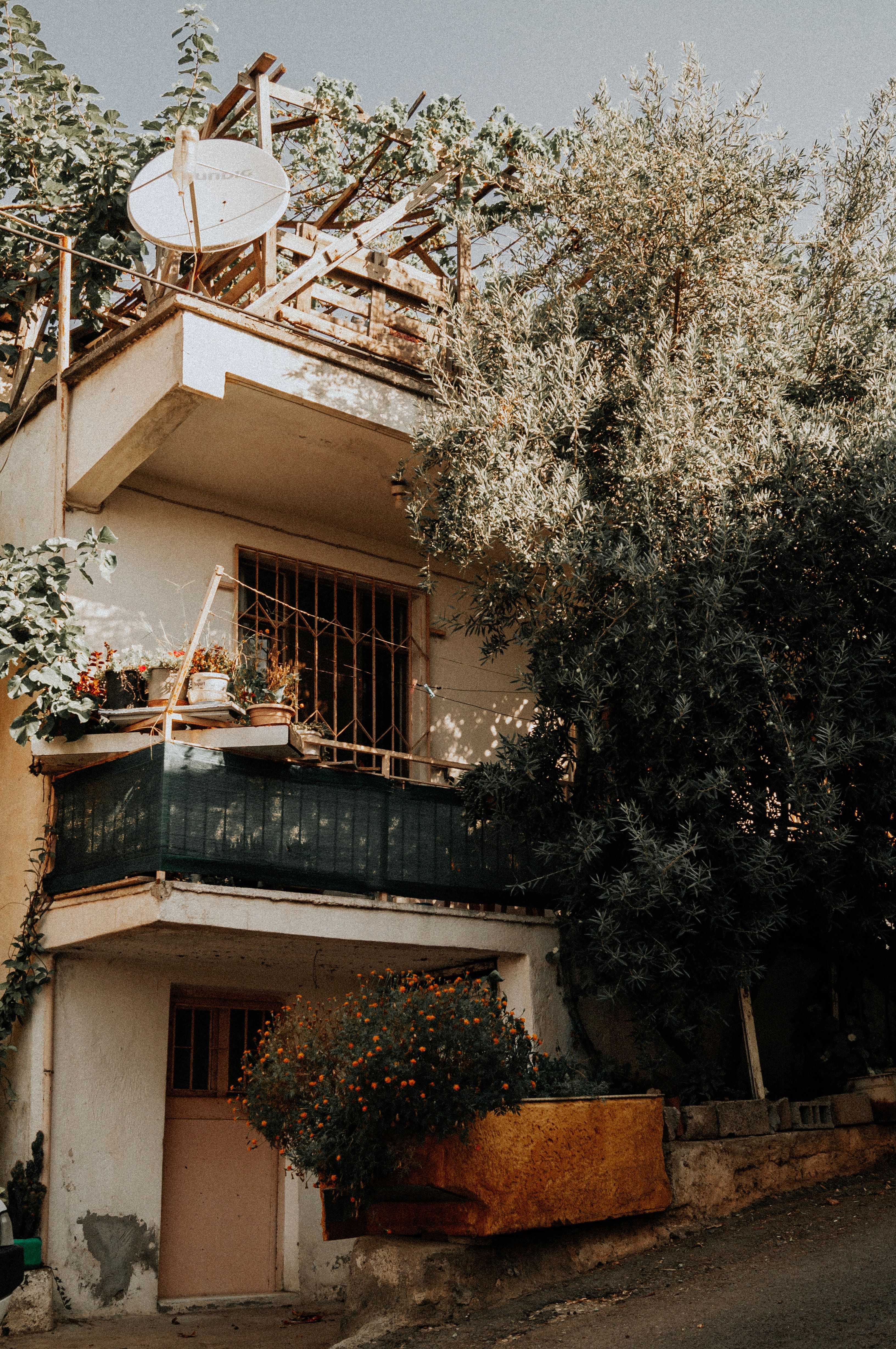 Tree On Balcony Photos, Download The BEST Free Tree On Balcony Stock ...