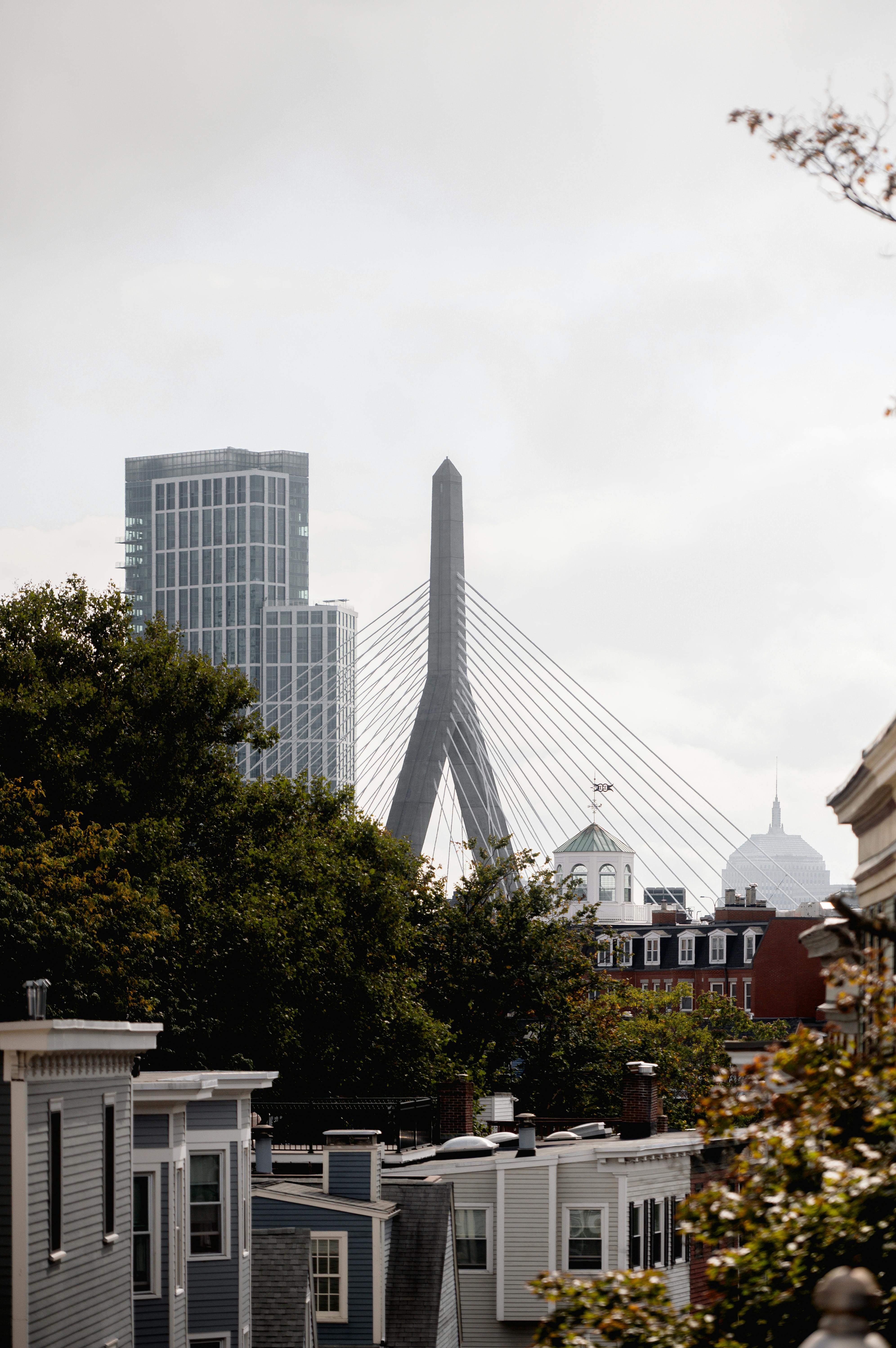 The Zakim Bridge Seen from Charleston in Boston · Free Stock Photo