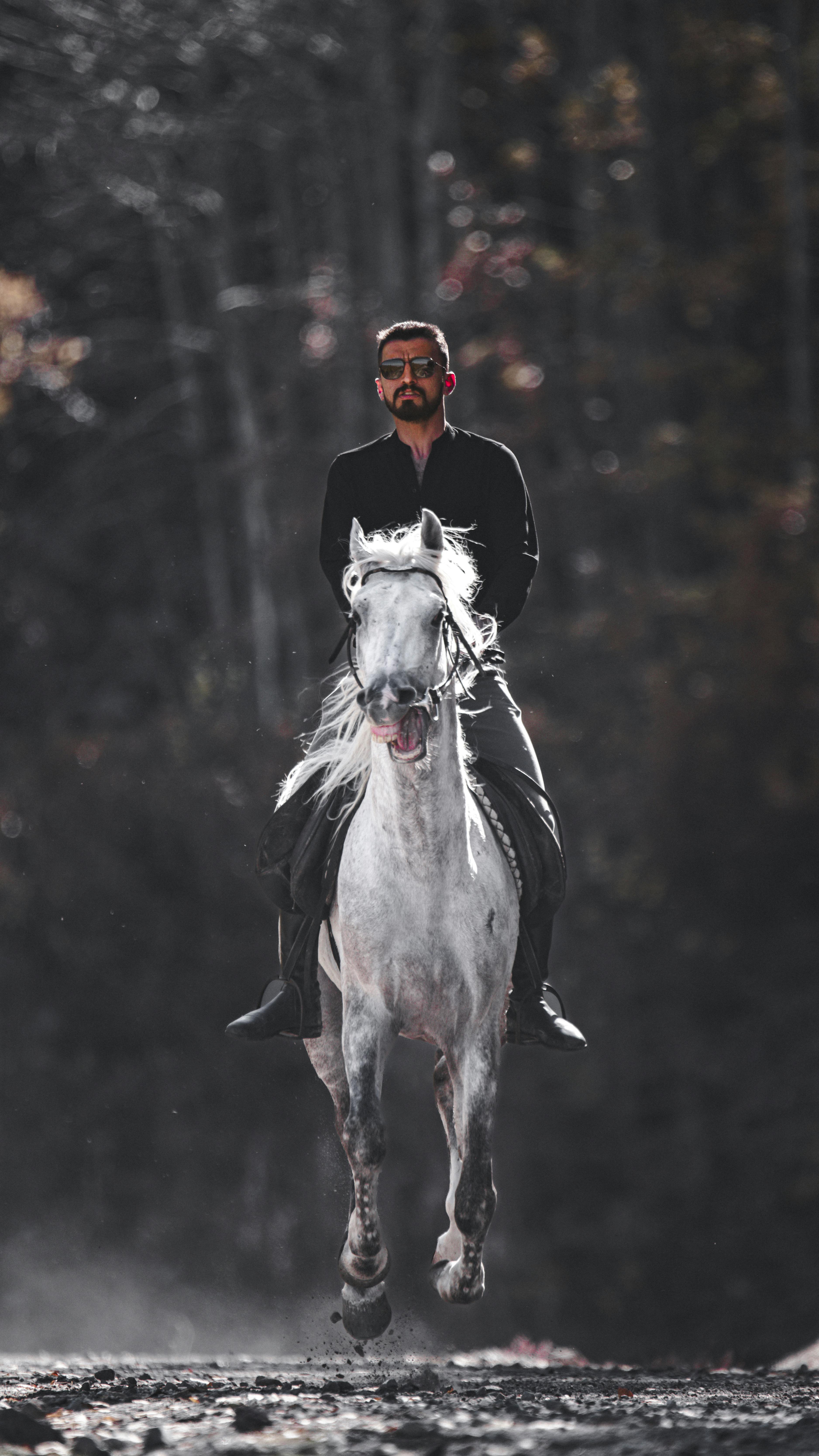 Man in Black Riding on White Horse · Free Stock Photo