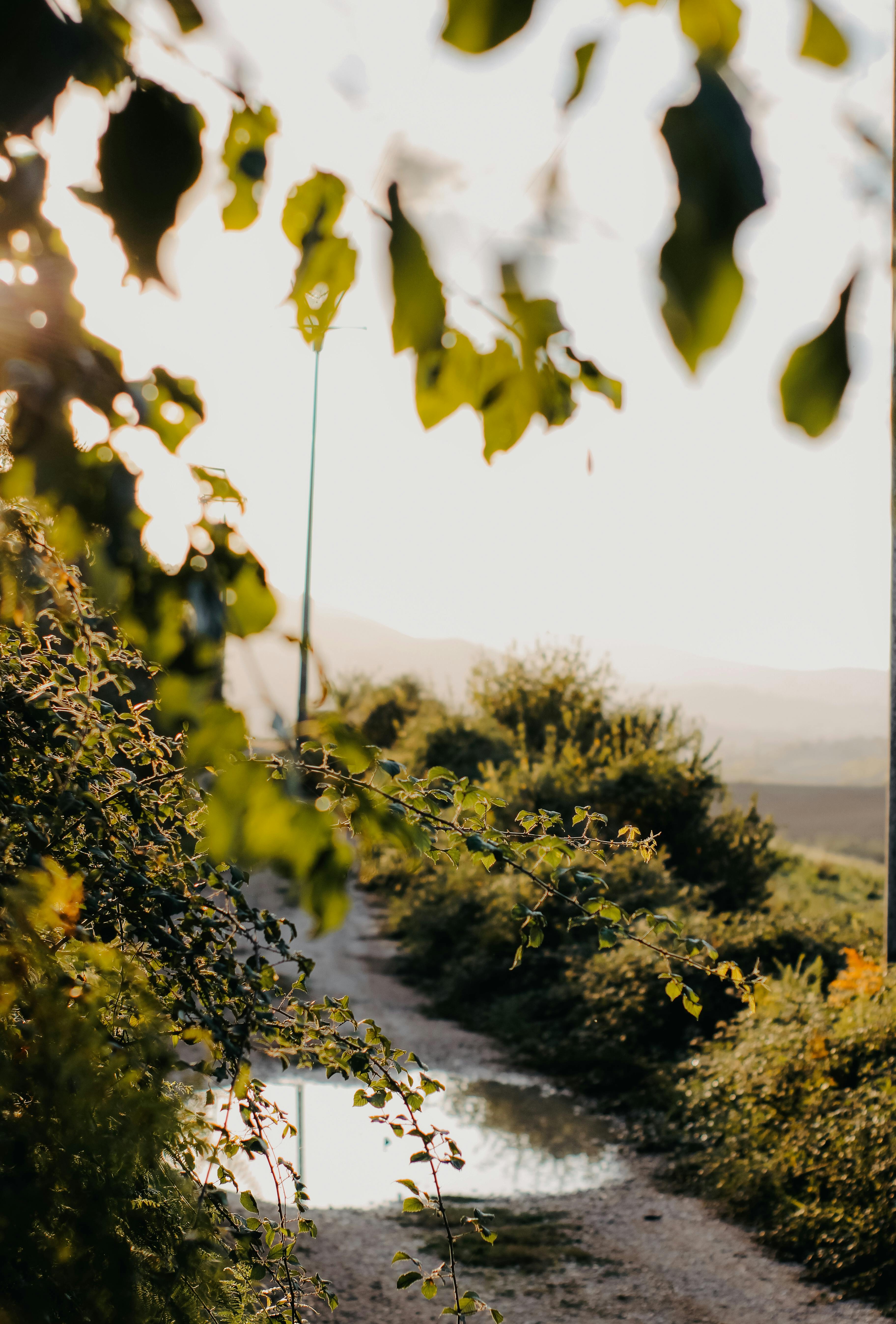 Potholes Photos, Download The BEST Free Potholes Stock Photos & HD Images