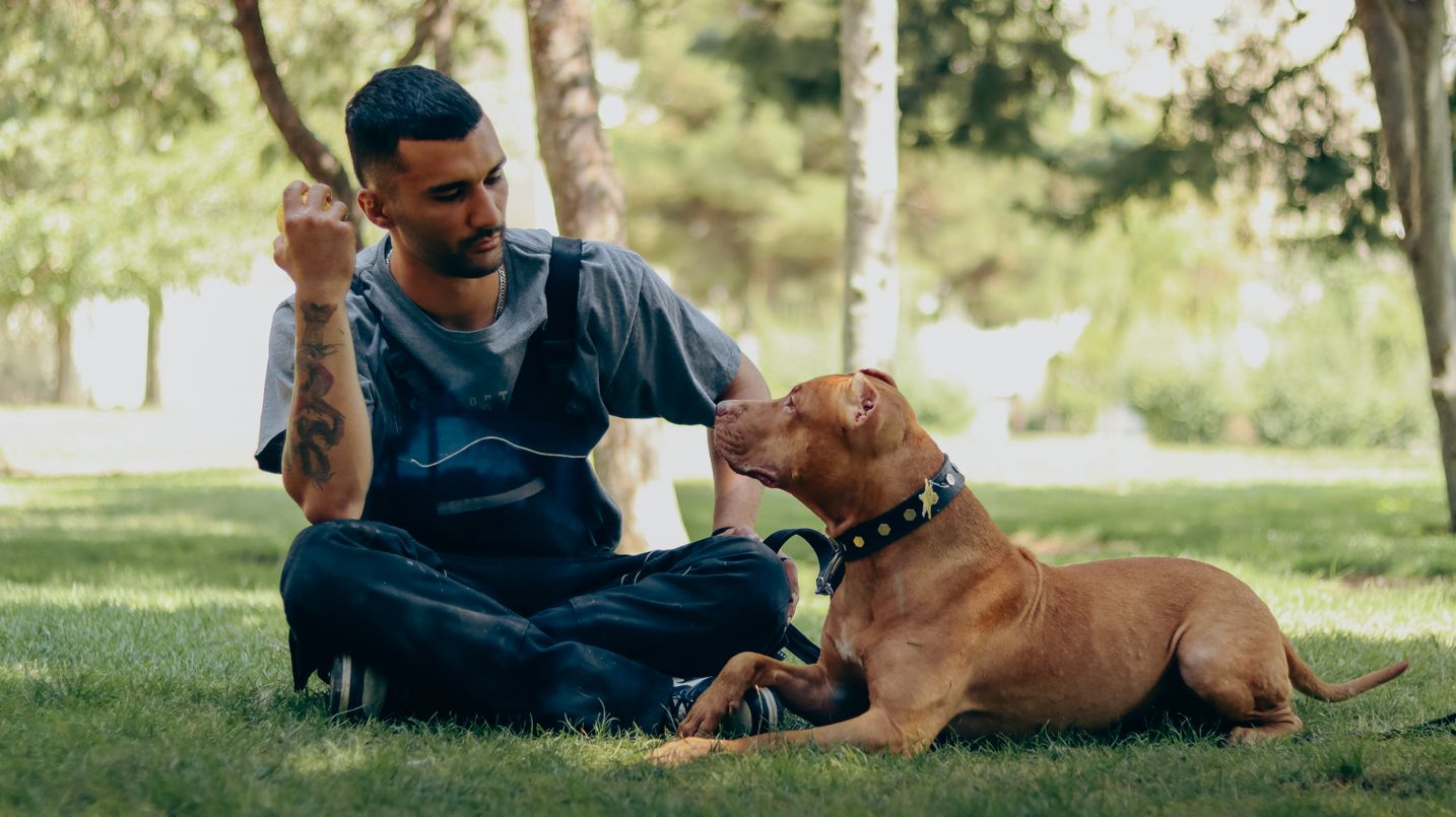 What Were Pit Bulls Bred for: History and Traits Revealed