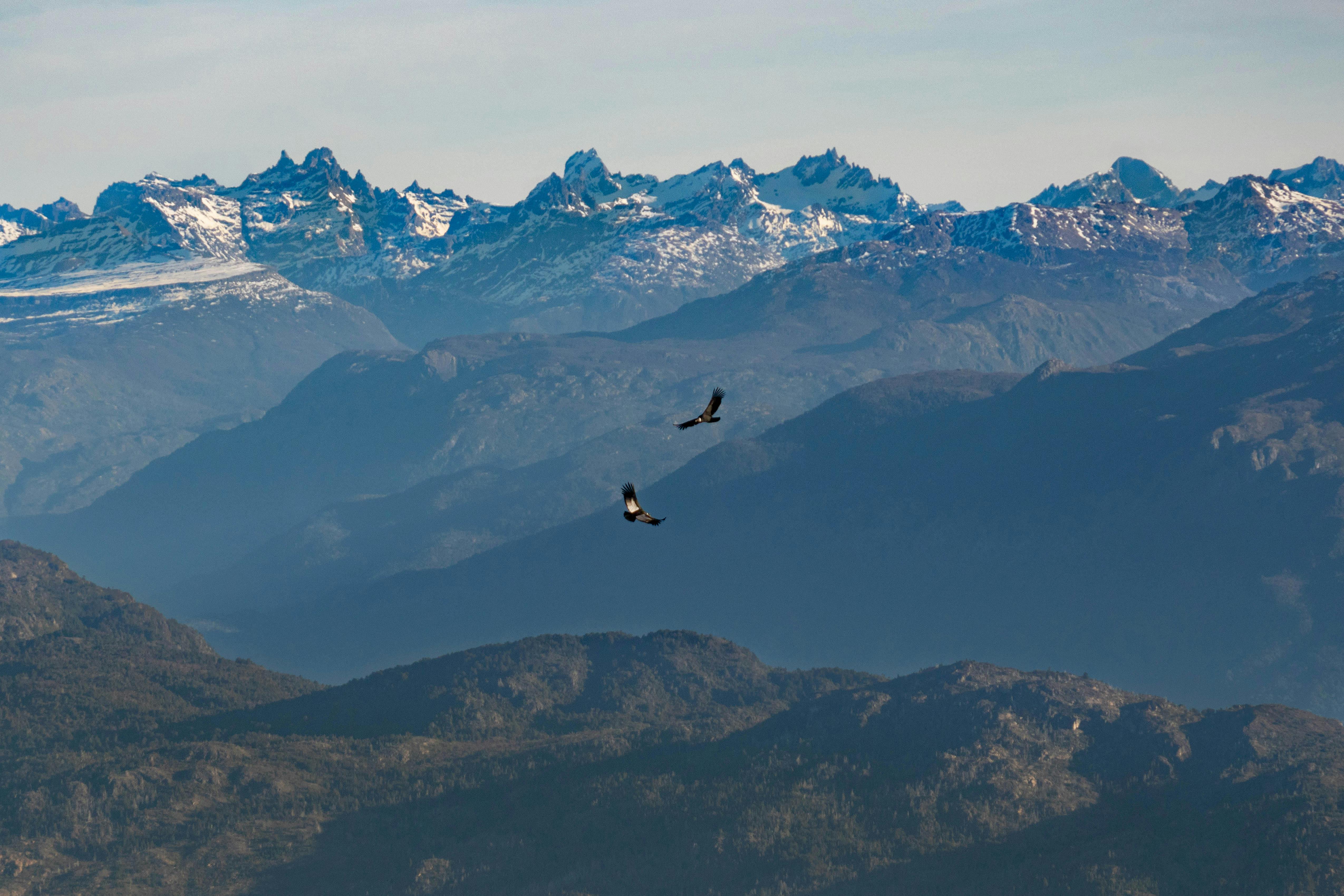 Foto de stock gratuita sobre al aire libre, alpino, alto contraste ...