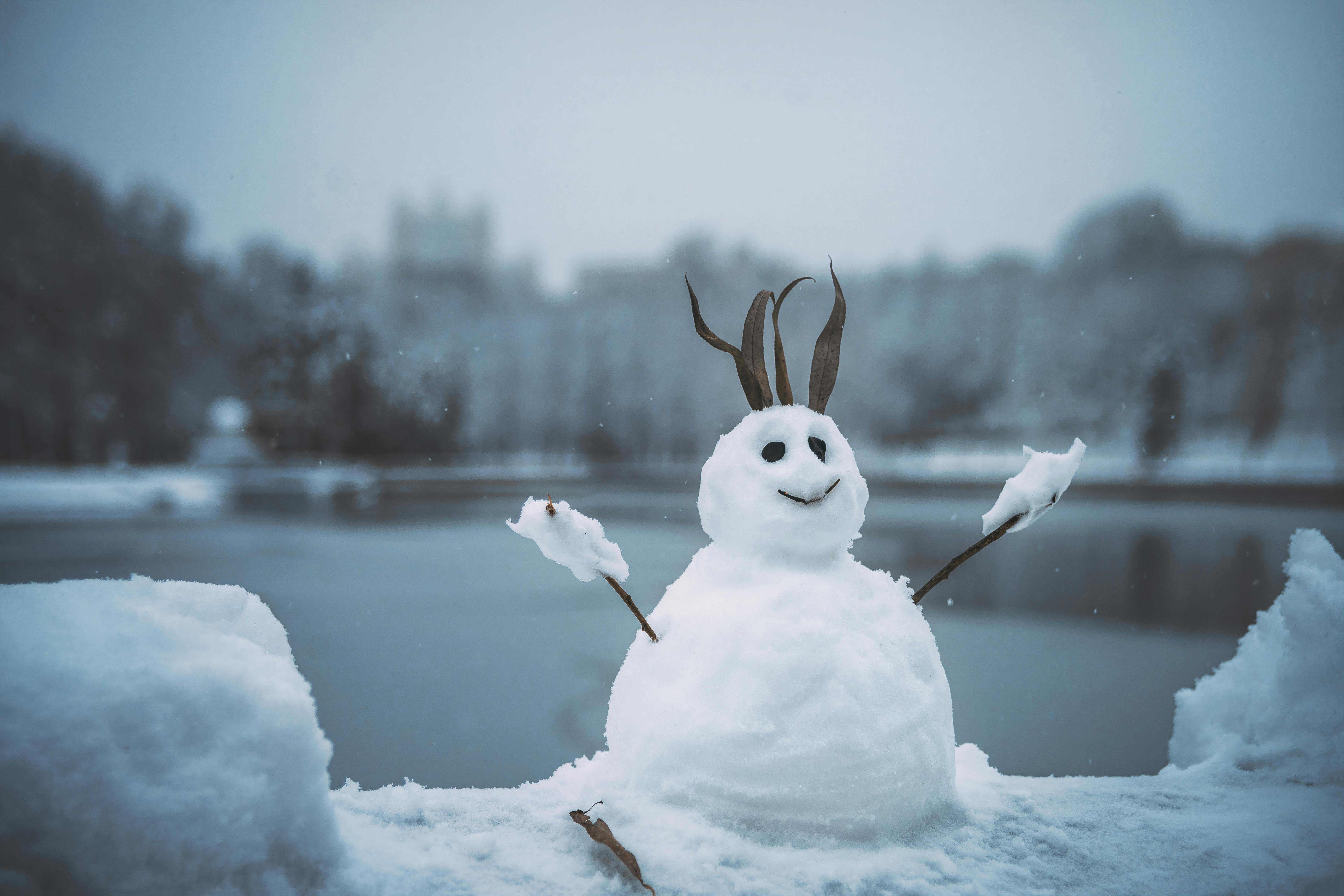 Snowman by the Lake · Free Stock Photo