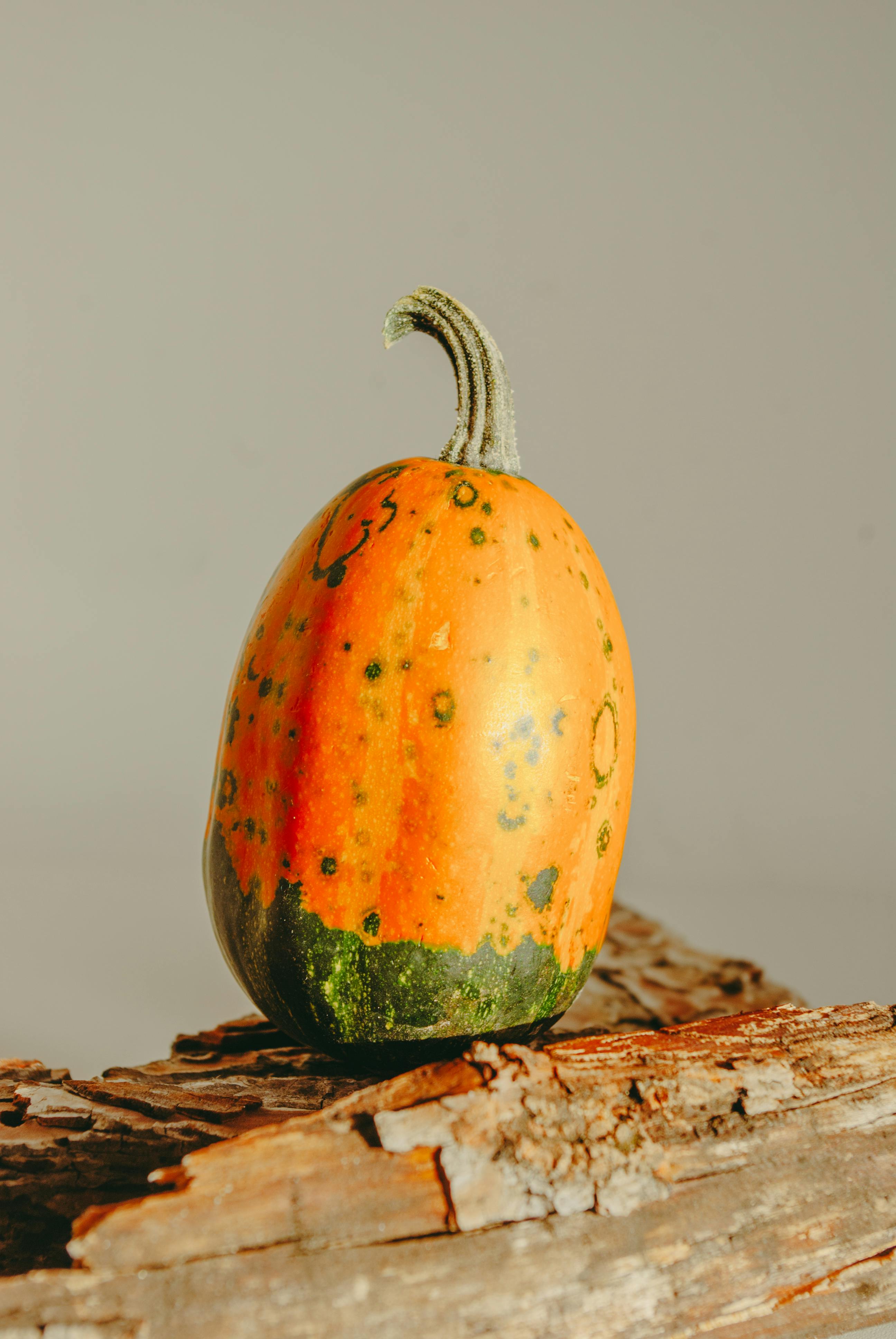 Four Squashes · Free Stock Photo