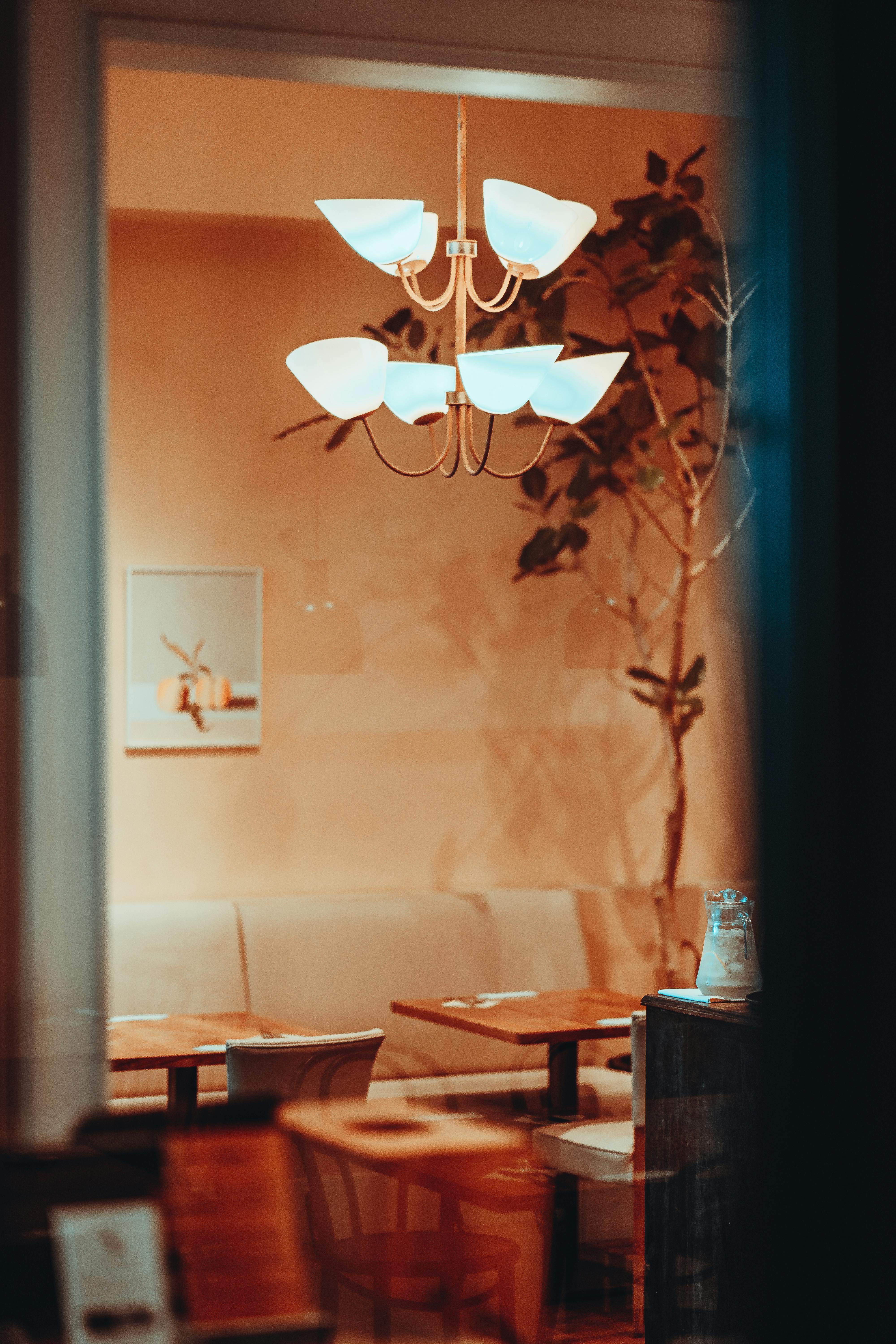 TRUNK KITCHEN · Free Stock Photo