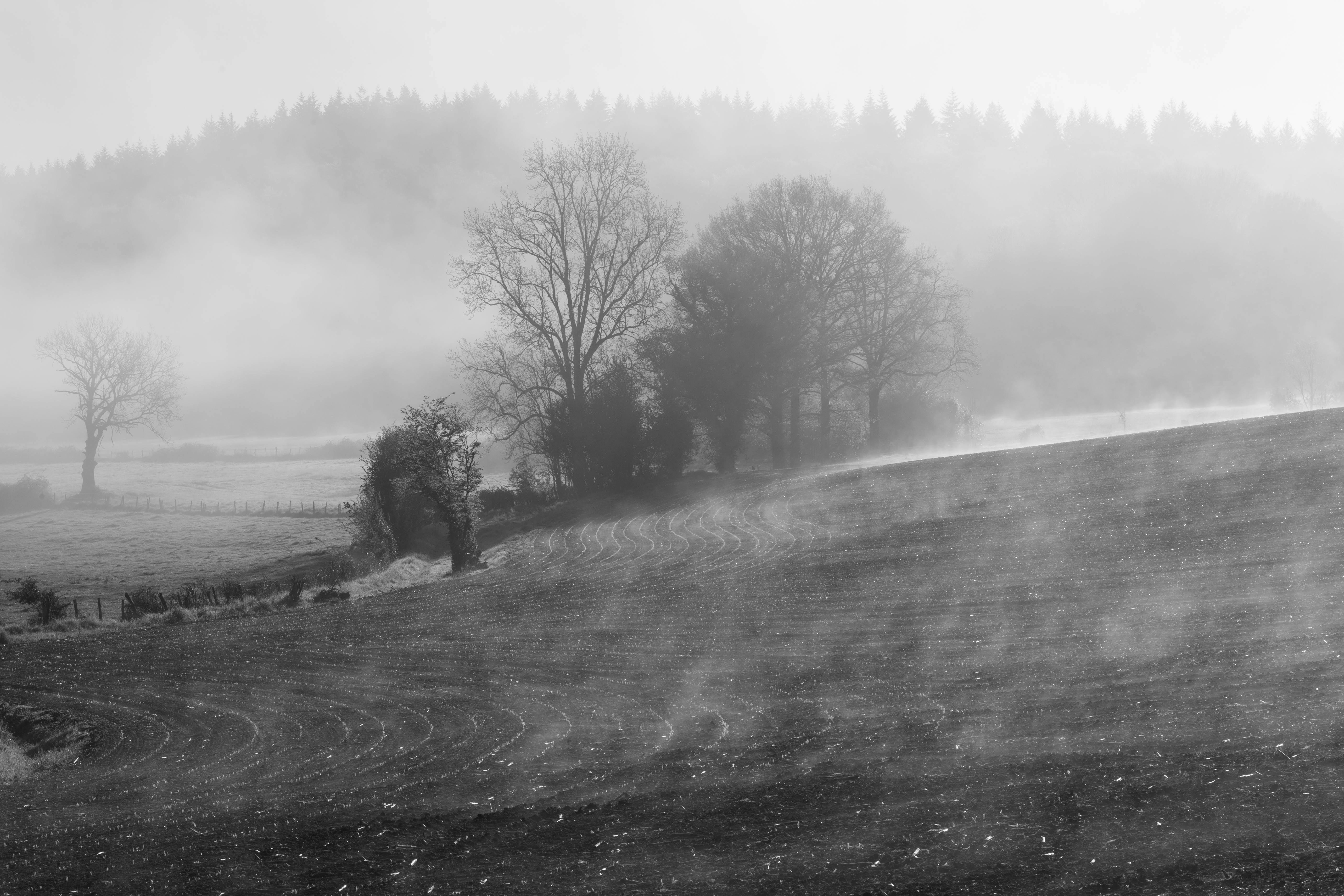 Spooky Field Photos, Download The BEST Free Spooky Field Stock Photos ...