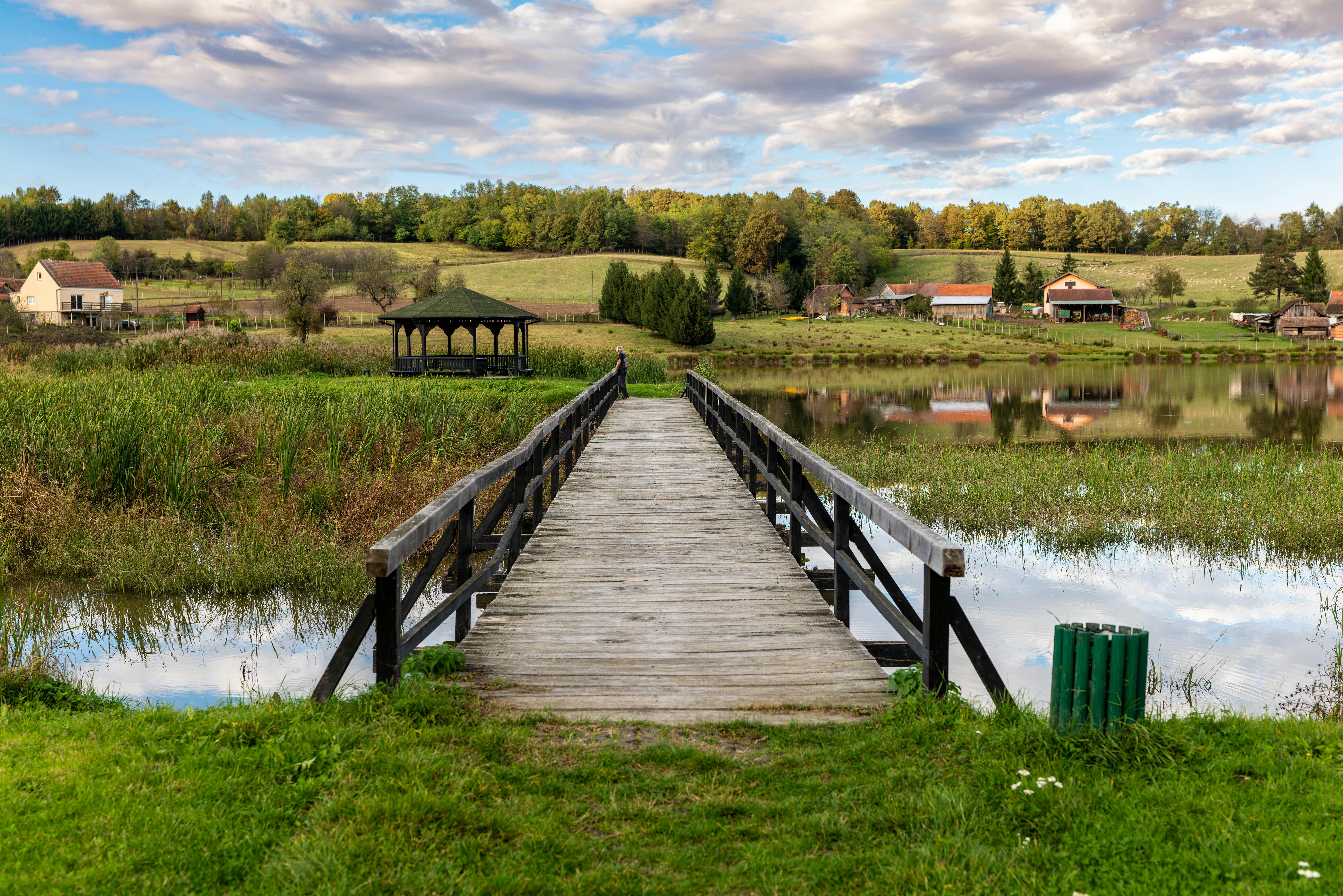 Wooden Bridge over Lake · Free Stock Photo