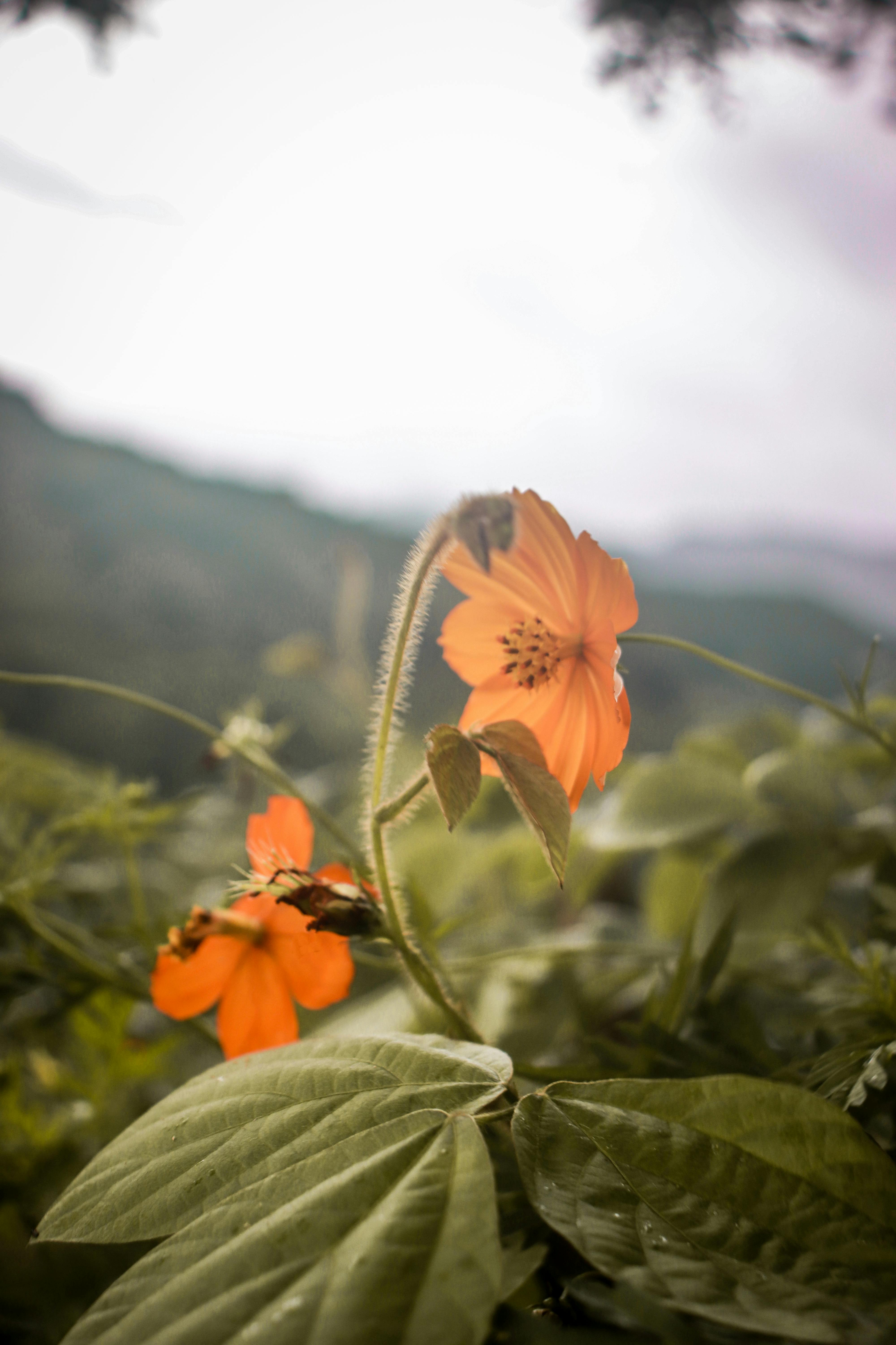 Gulod Tanay Rizal 17 Photos & Videos Collected by Harvey Tan Villarino