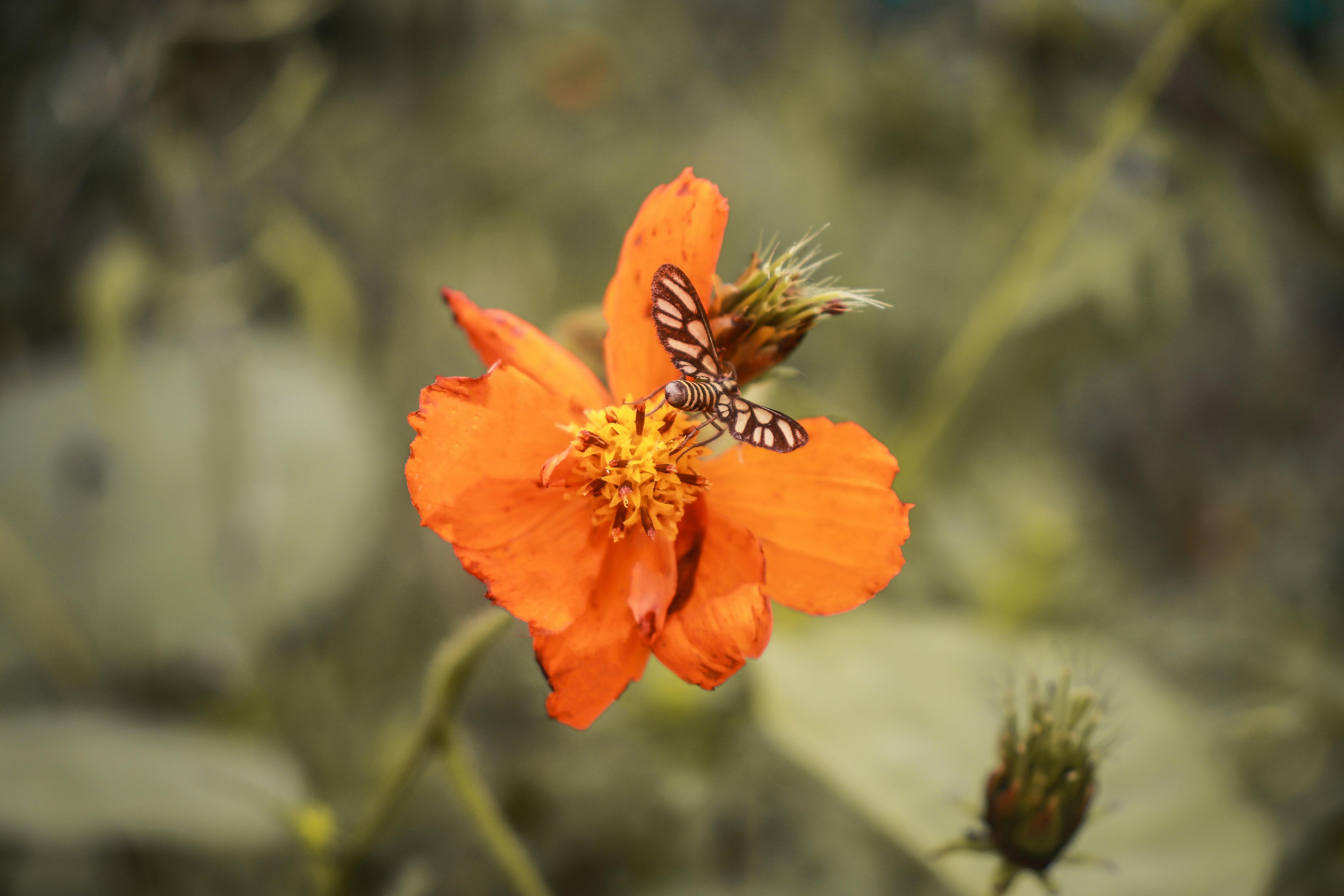Gulod Tanay Rizal 17 Photos & Videos Collected by Harvey Tan Villarino
