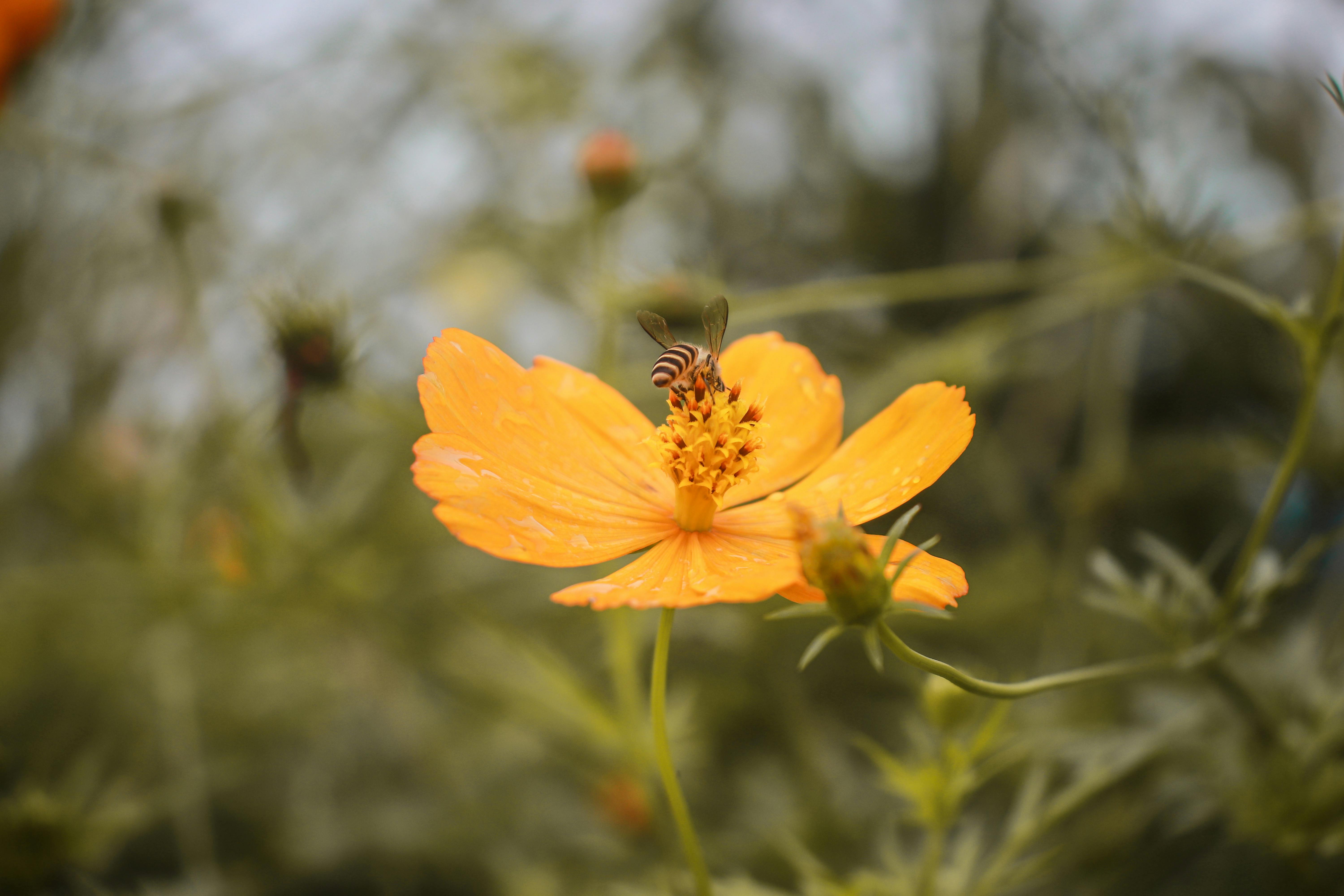 Gulod Tanay Rizal 17 Photos & Videos Collected by Harvey Tan Villarino