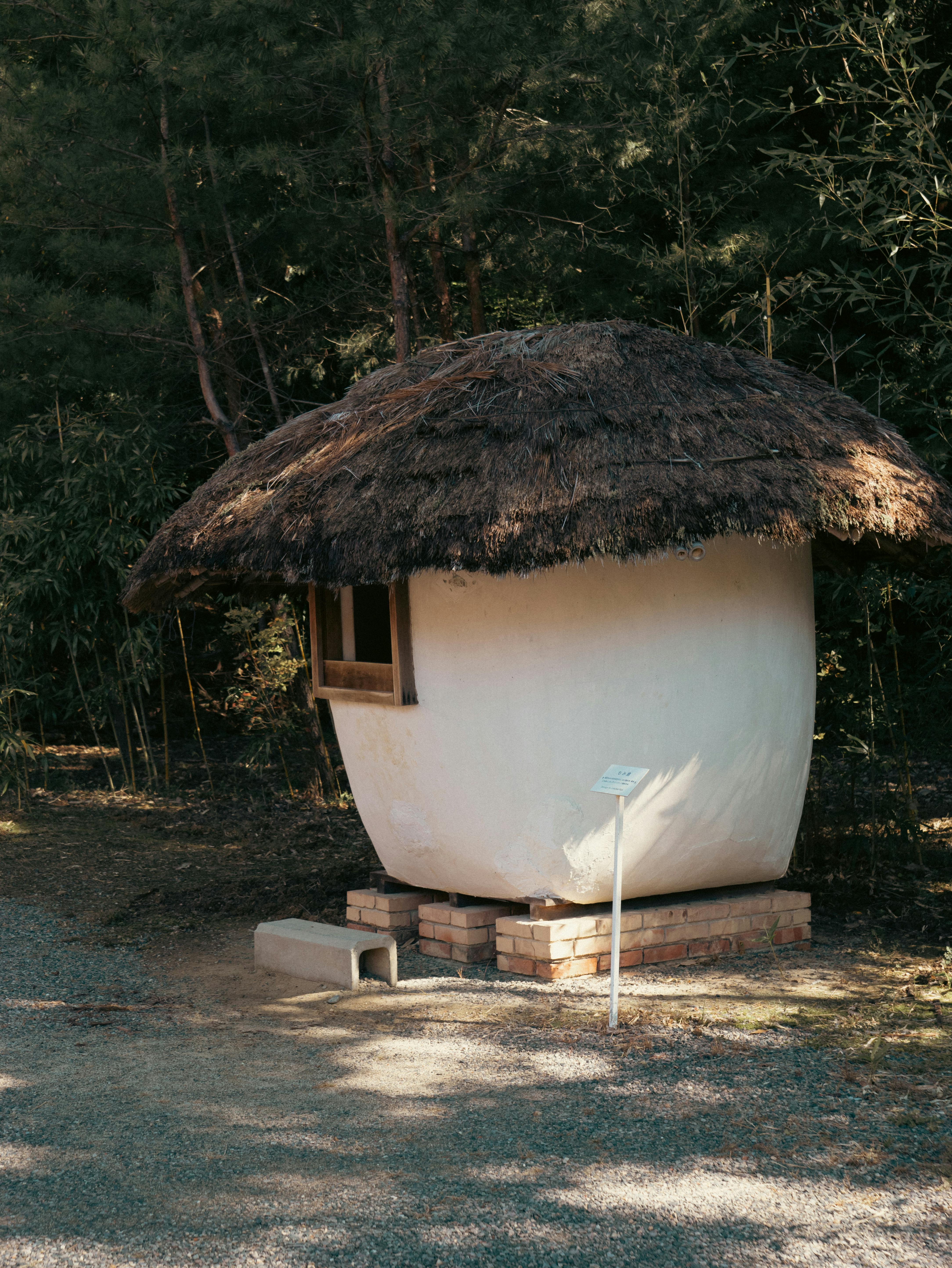 Aboriginal Hut in a Forest · Free Stock Photo