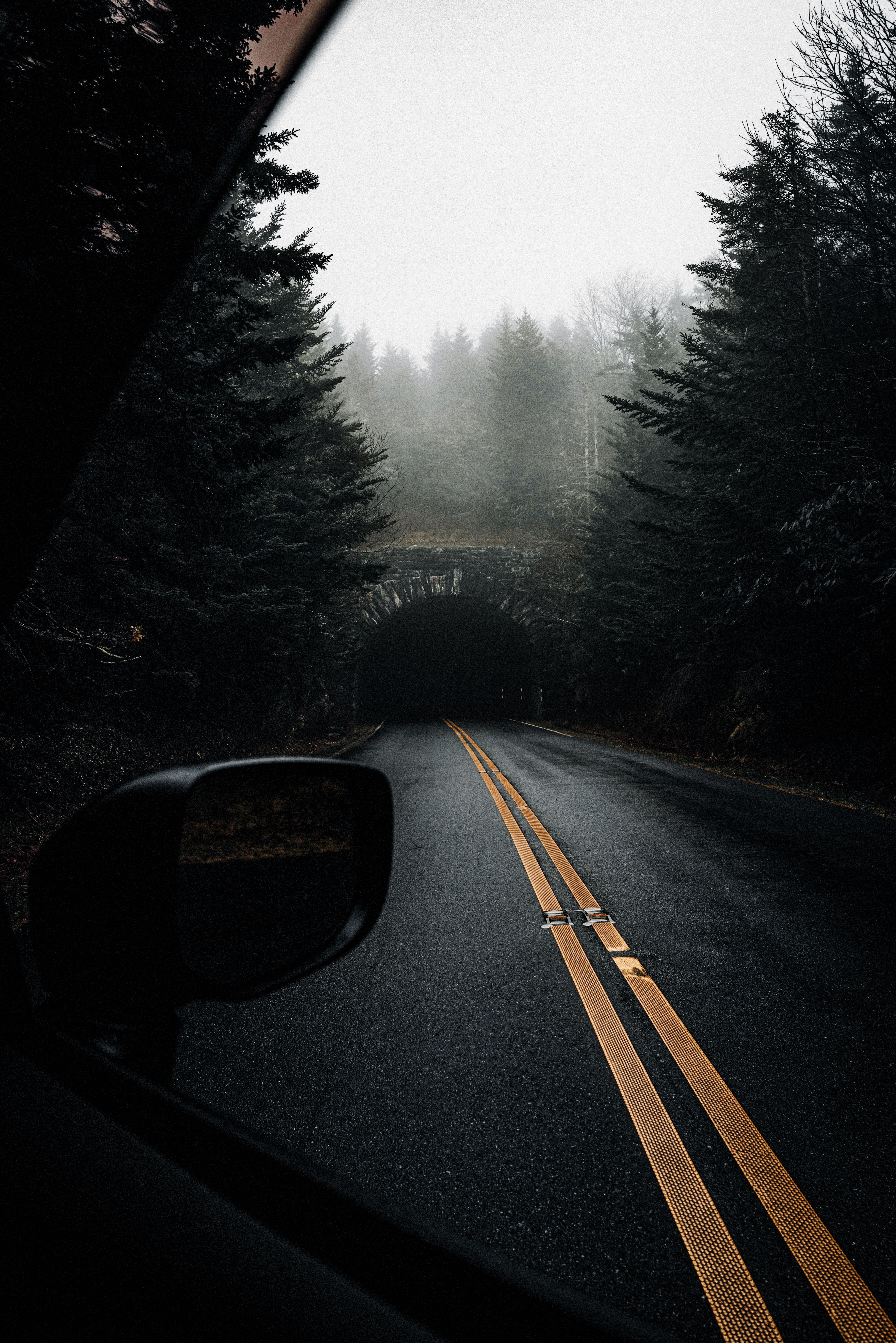 Car Approaching a Dark Tunnel in a Forest · Free Stock Photo