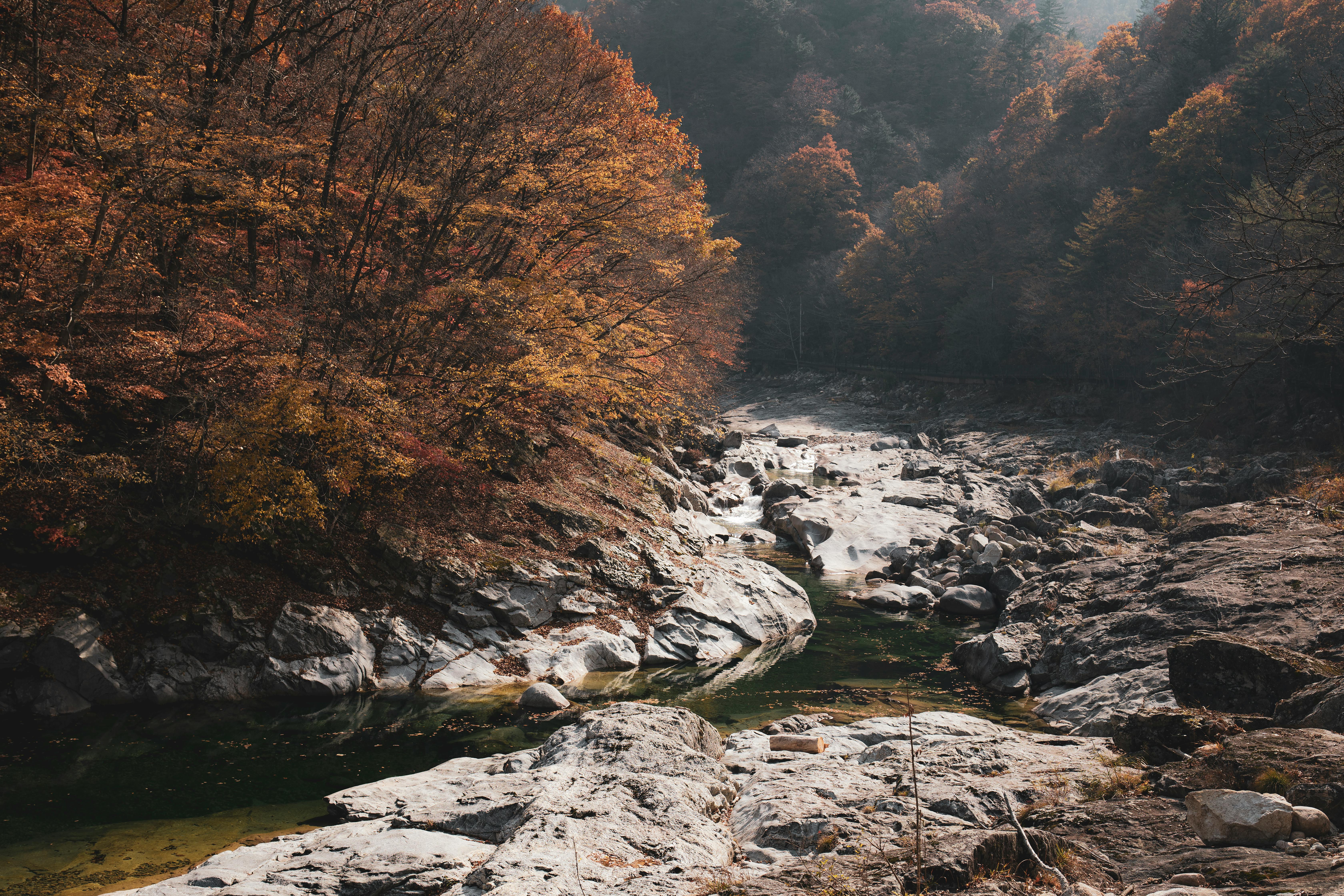 Mountain Stream in a Rocky Riverbed · Free Stock Photo