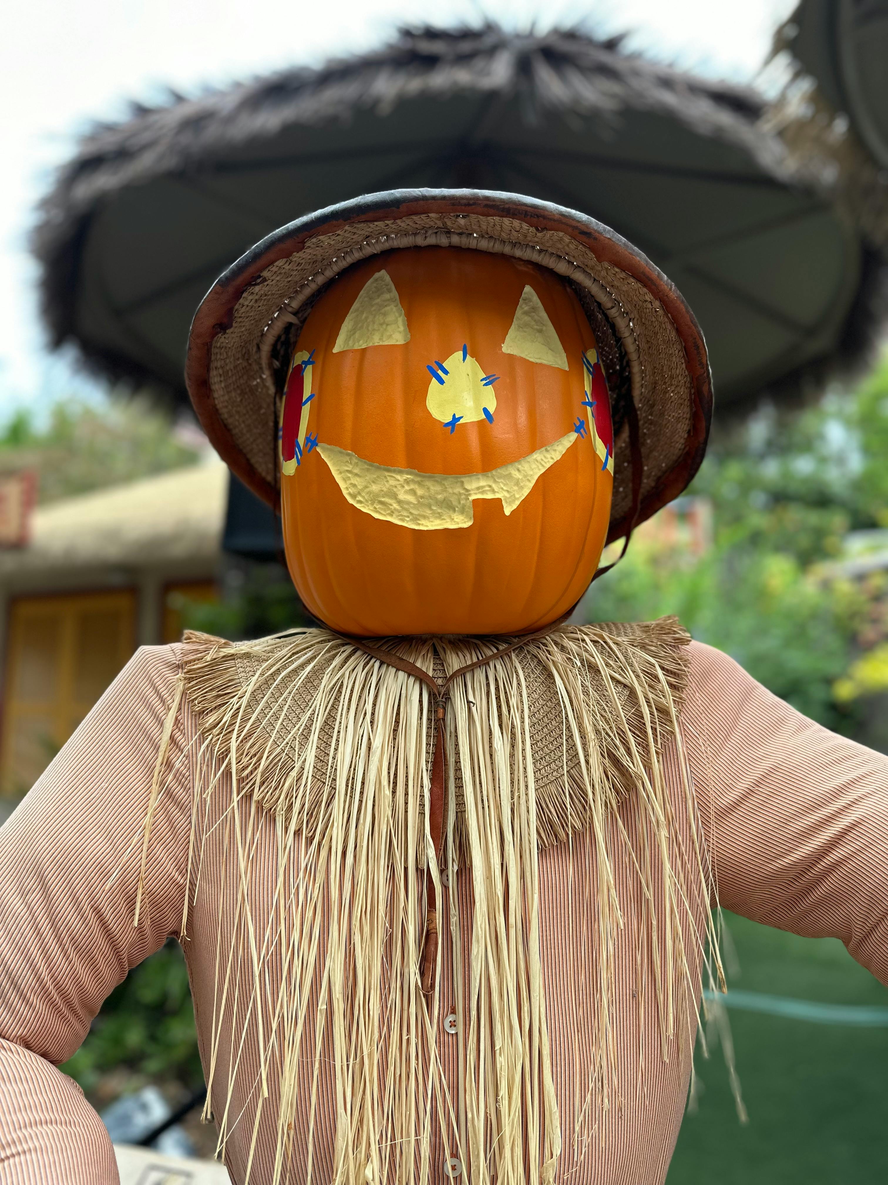 Pumpkin Excel Photos, Download The BEST Free Pumpkin Excel Stock Photos ...