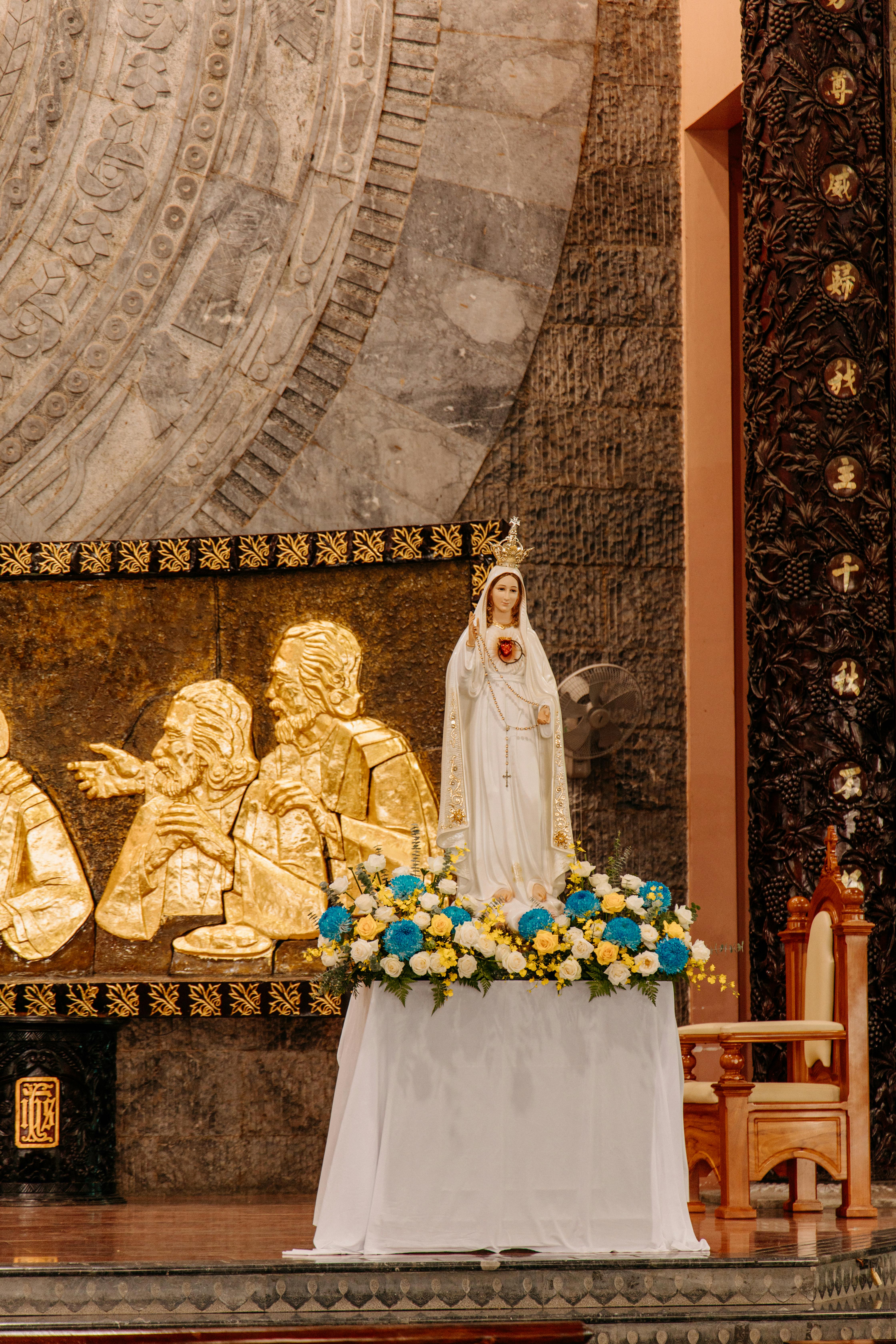 Alter Photos, Download The BEST Free Alter Stock Photos & HD Images