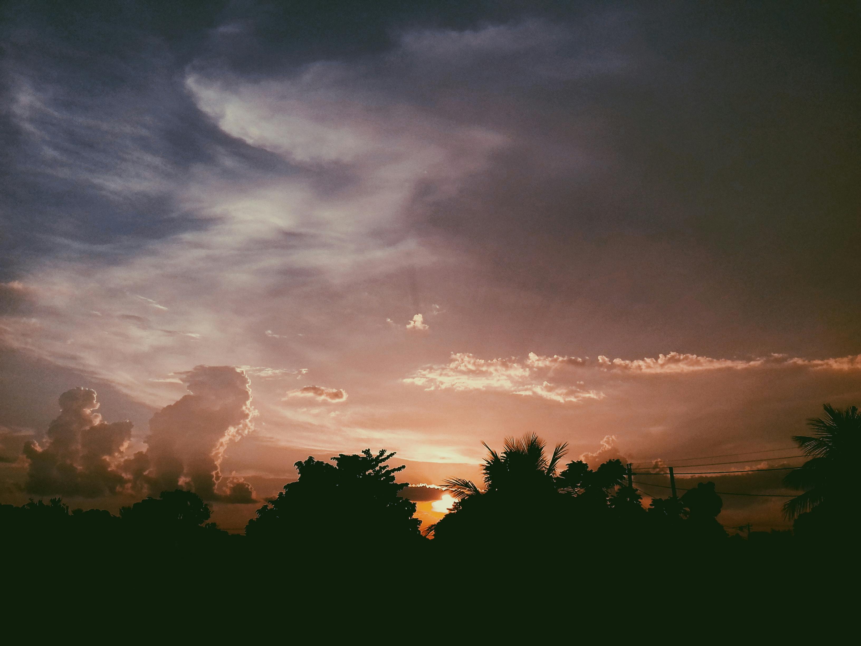 Kevin Brian - Photography