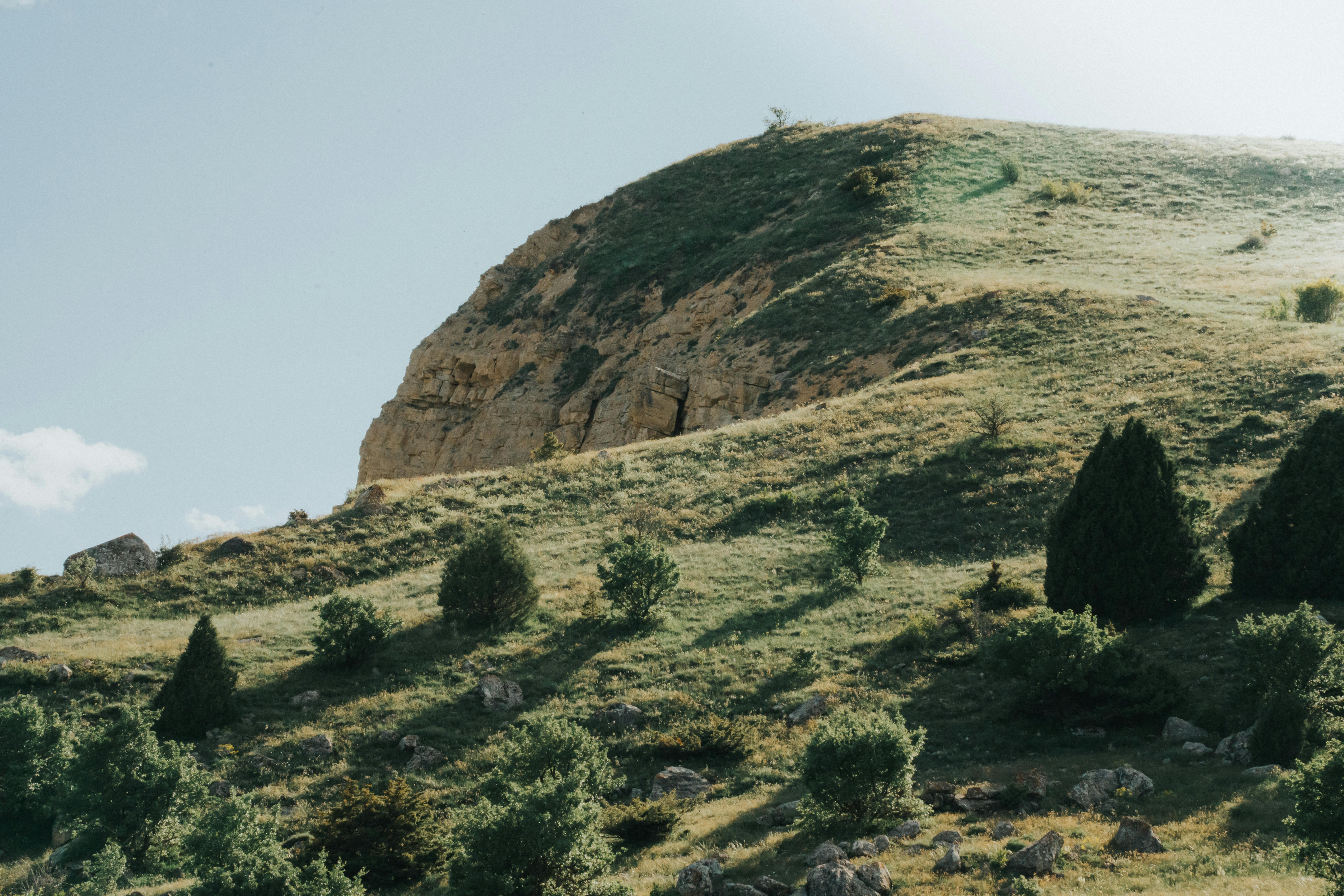 Scenic View of a Hill with Trees Growing on it · Free Stock Photo