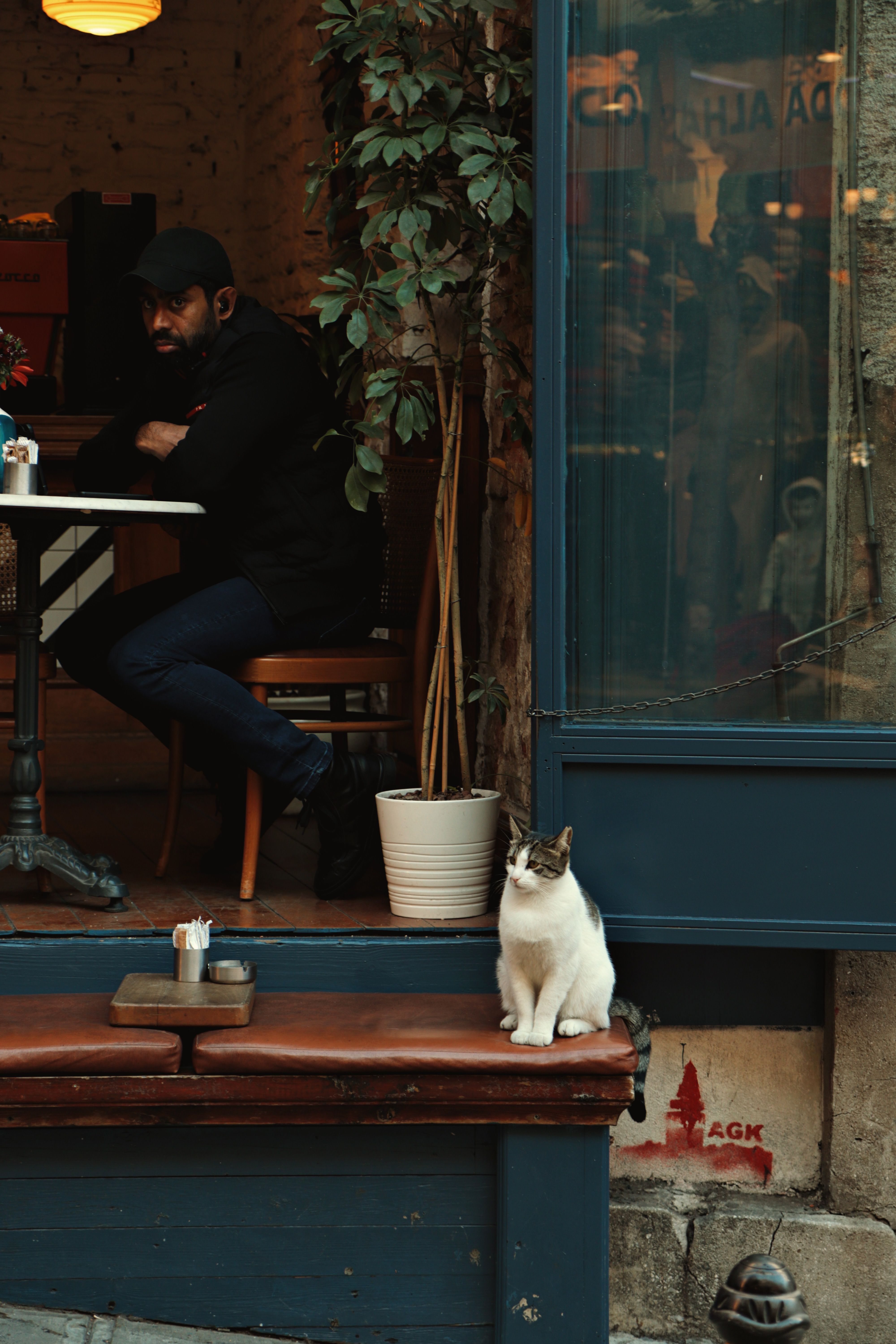 Cat near Man Sitting in Cafe · Free Stock Photo