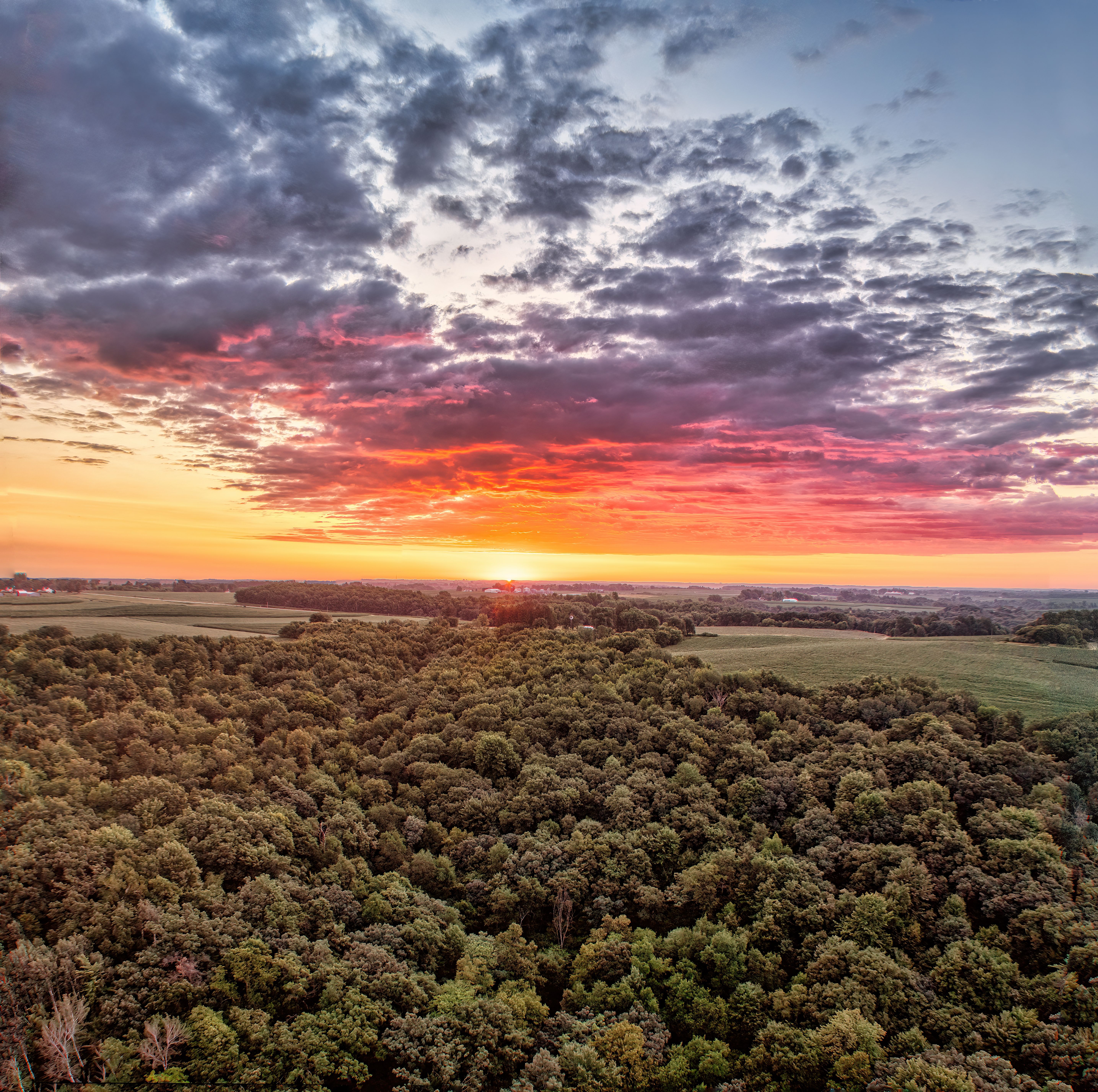 Forest on Plains at Sunset · Free Stock Photo
