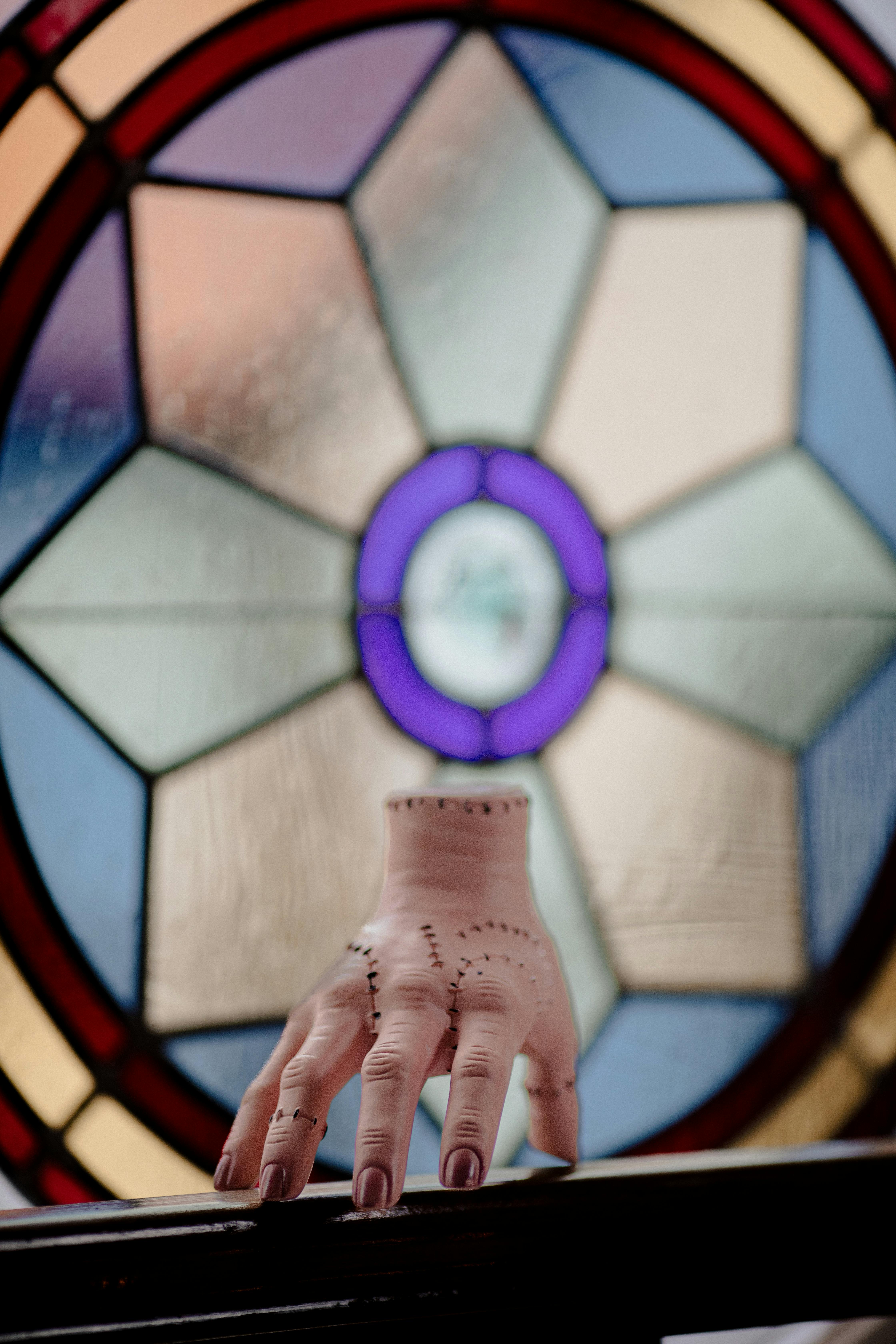 Thing Hand Photos, Download The BEST Free Thing Hand Stock Photos & HD ...