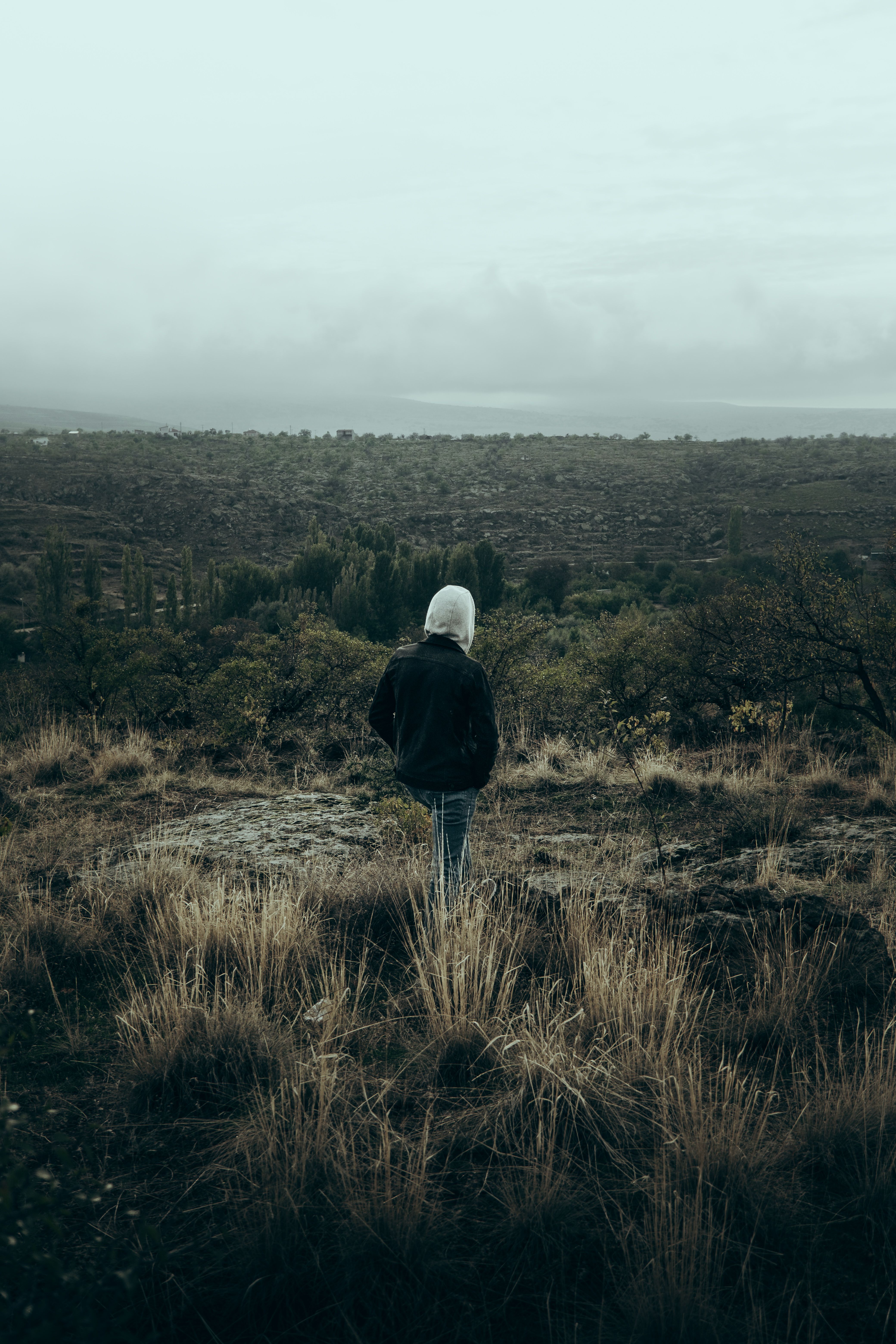 A person standing on a hill looking out over the landscape · Free Stock ...