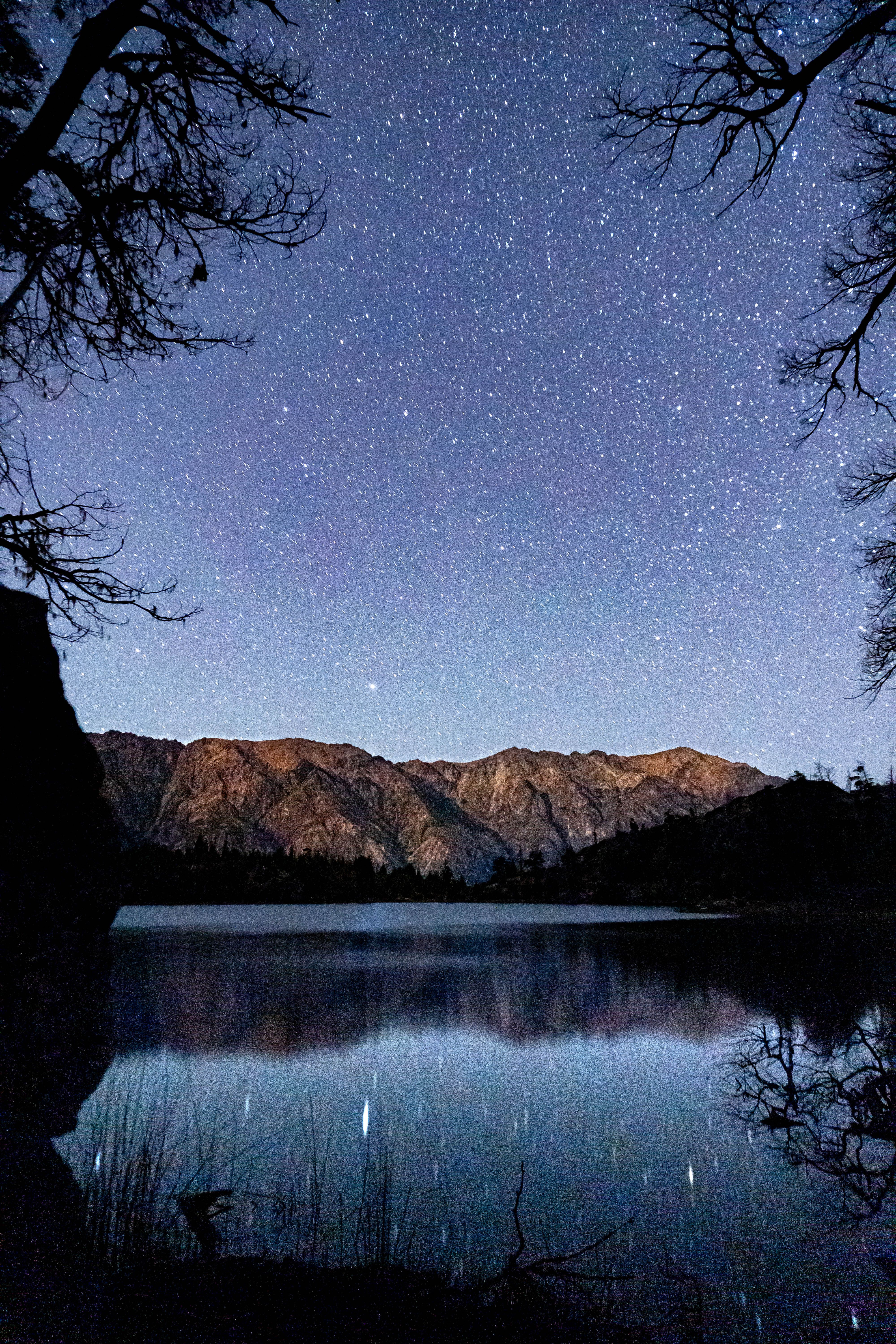 Field Star over Mountains · Free Stock Photo
