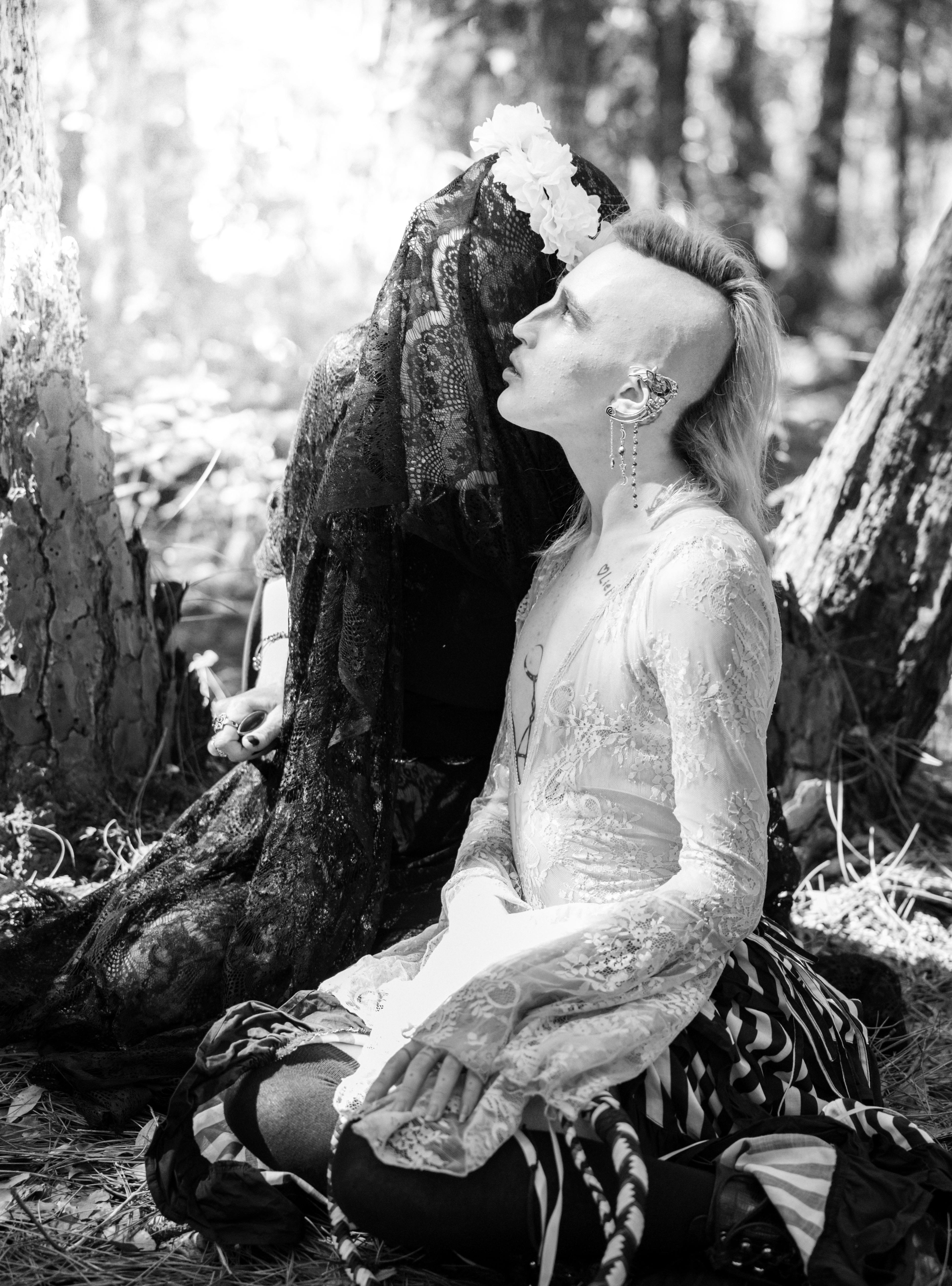 Forest Models Photos, Download The BEST Free Forest Models Stock Photos ...