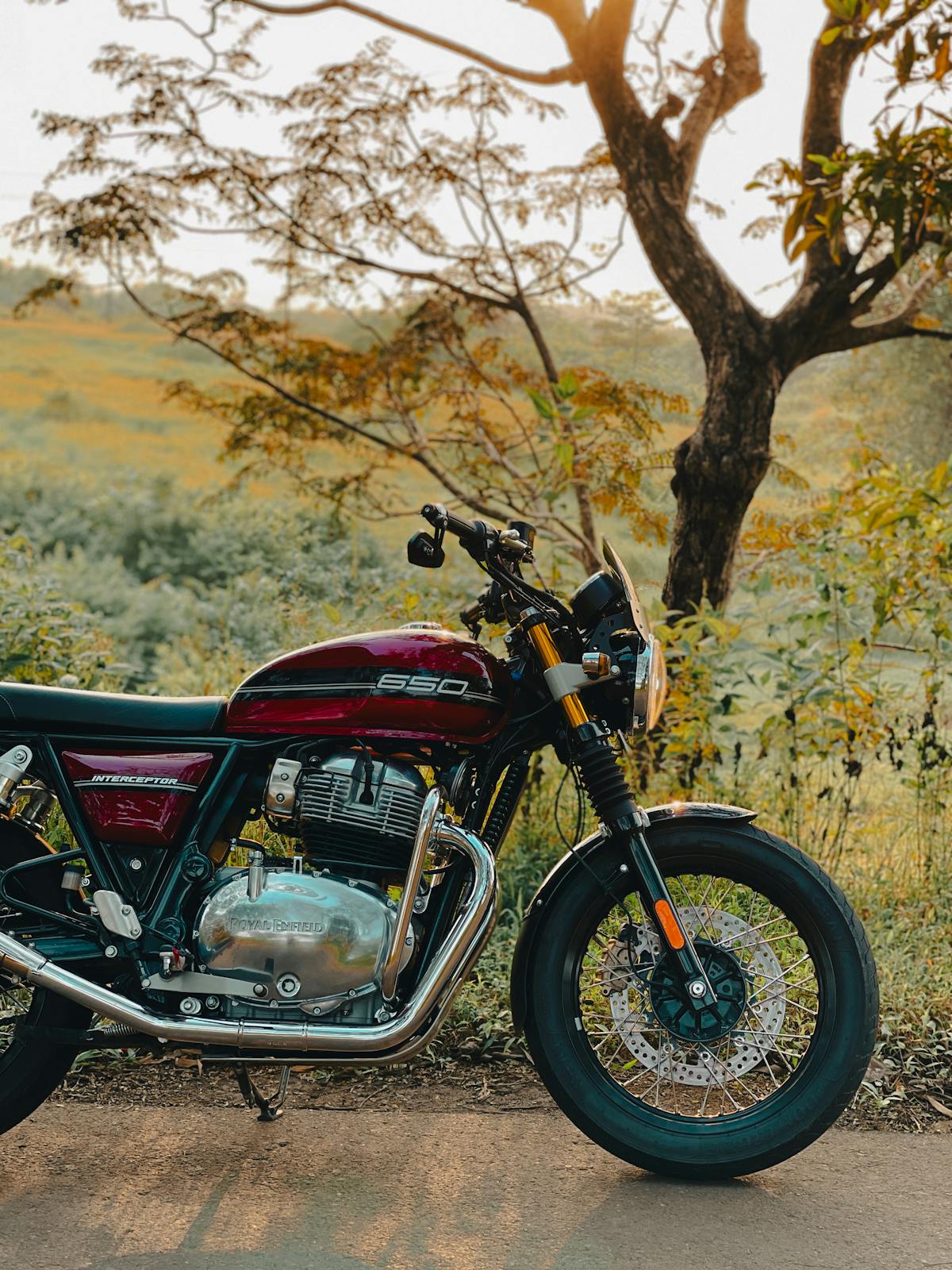 Royal Enfield Continental Gt 650 4k Wallpaper Photos, Download The BEST ...