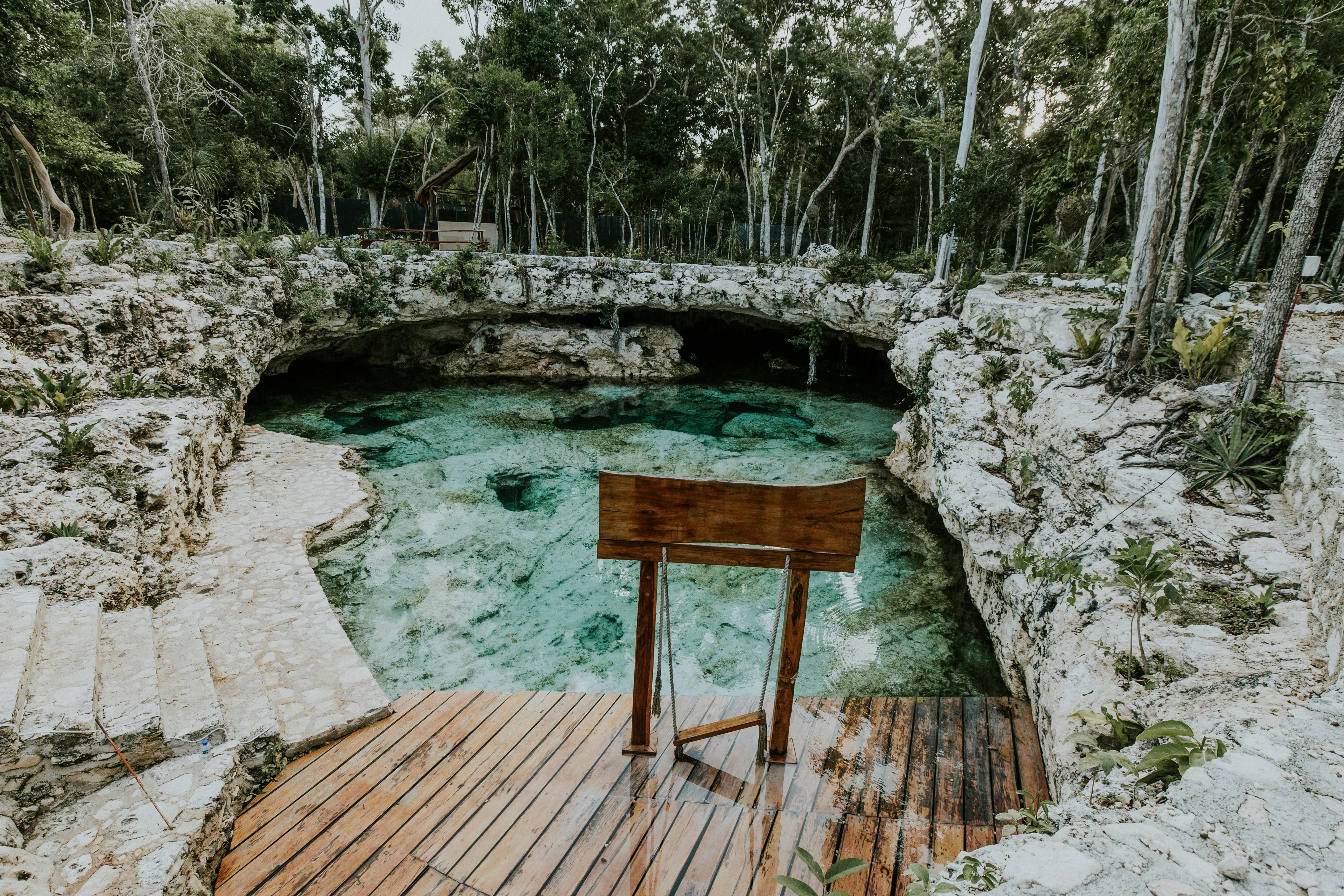Swimming Pool Among Trees · Free Stock Photo