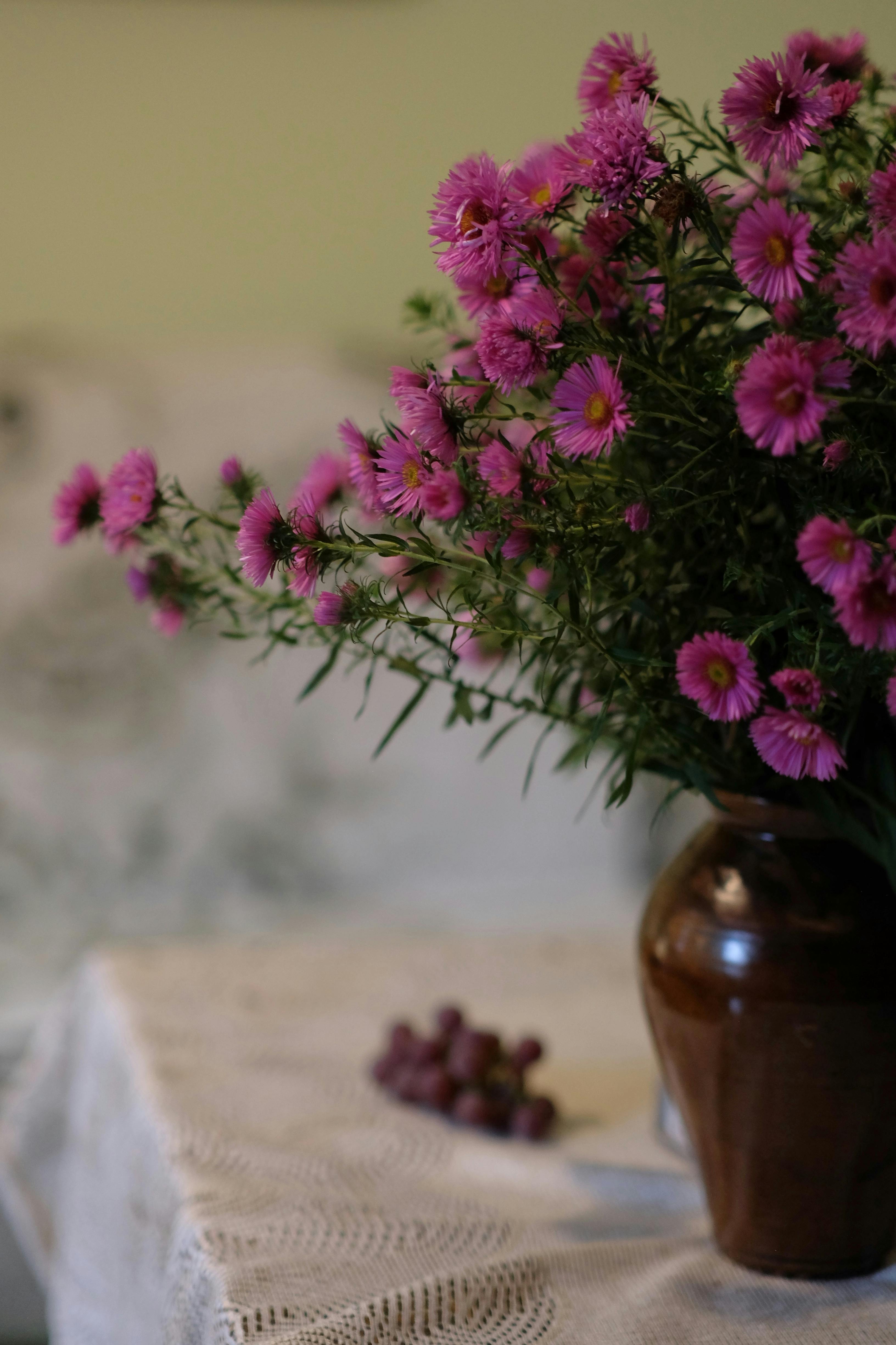 Pink Flowre Photos, Download The BEST Free Pink Flowre Stock Photos ...